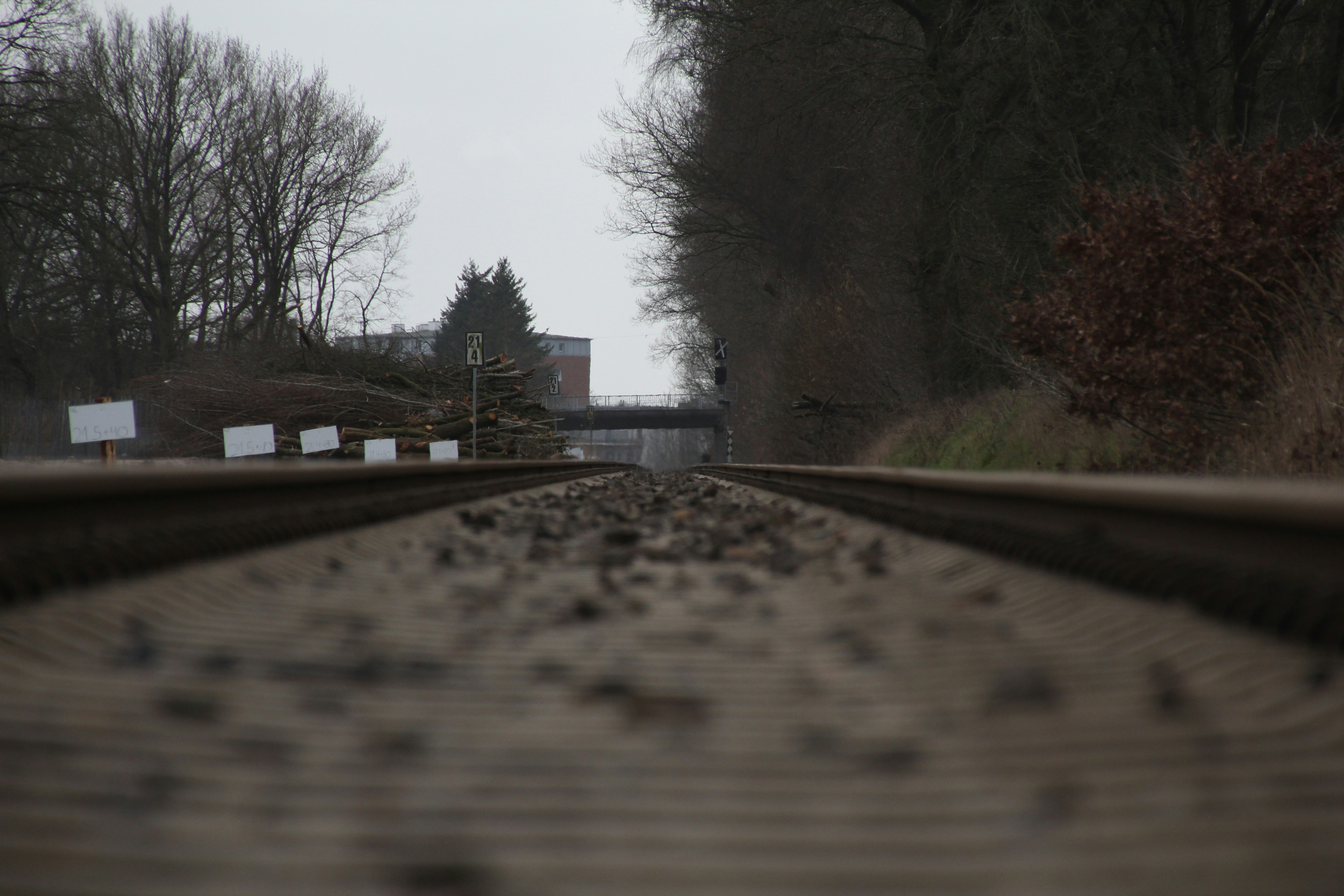 Convergence Point: Rails Recede Into a Quiet Overcast Horizon