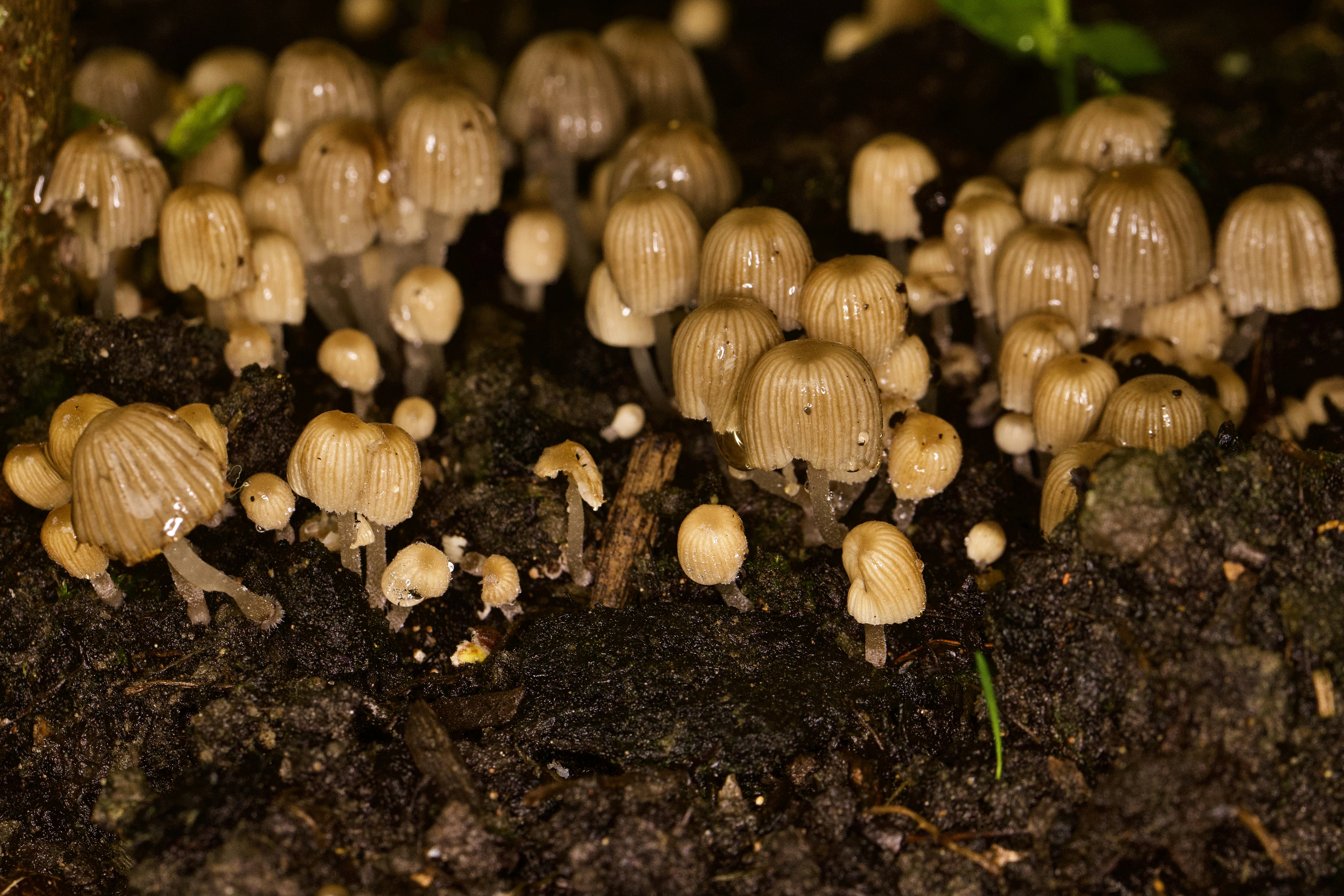 Photo by James Wainscoat with Canon EOS R5