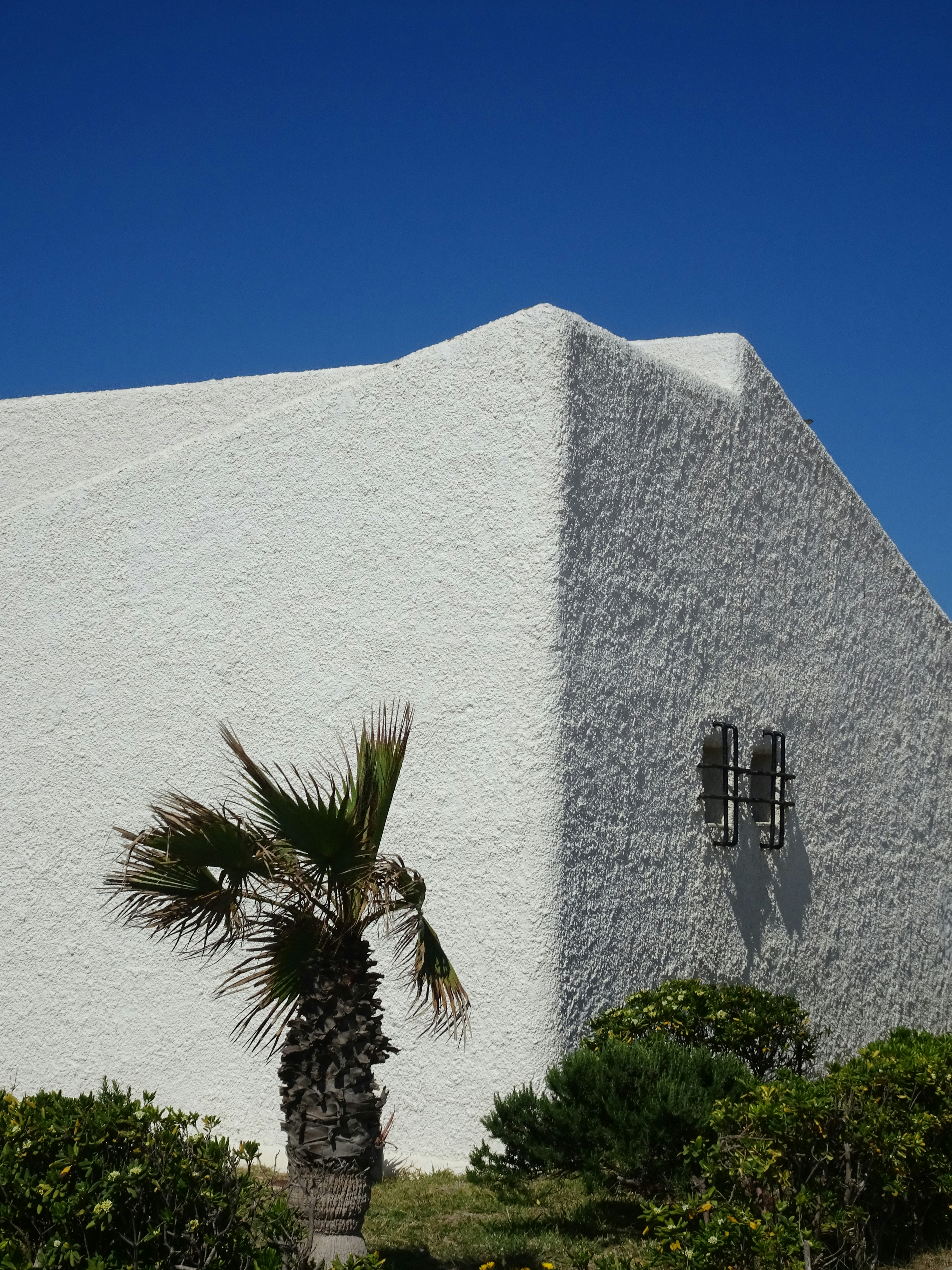 Photograph captures the stark geometry of a white stucco wall with a sharp corner, set against a deep blue sky and a small foreground palm.