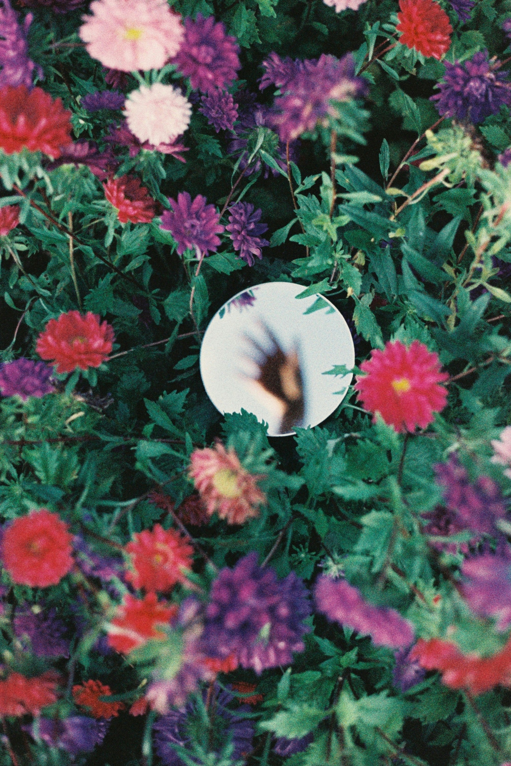 Trippy Flowers Tumblr