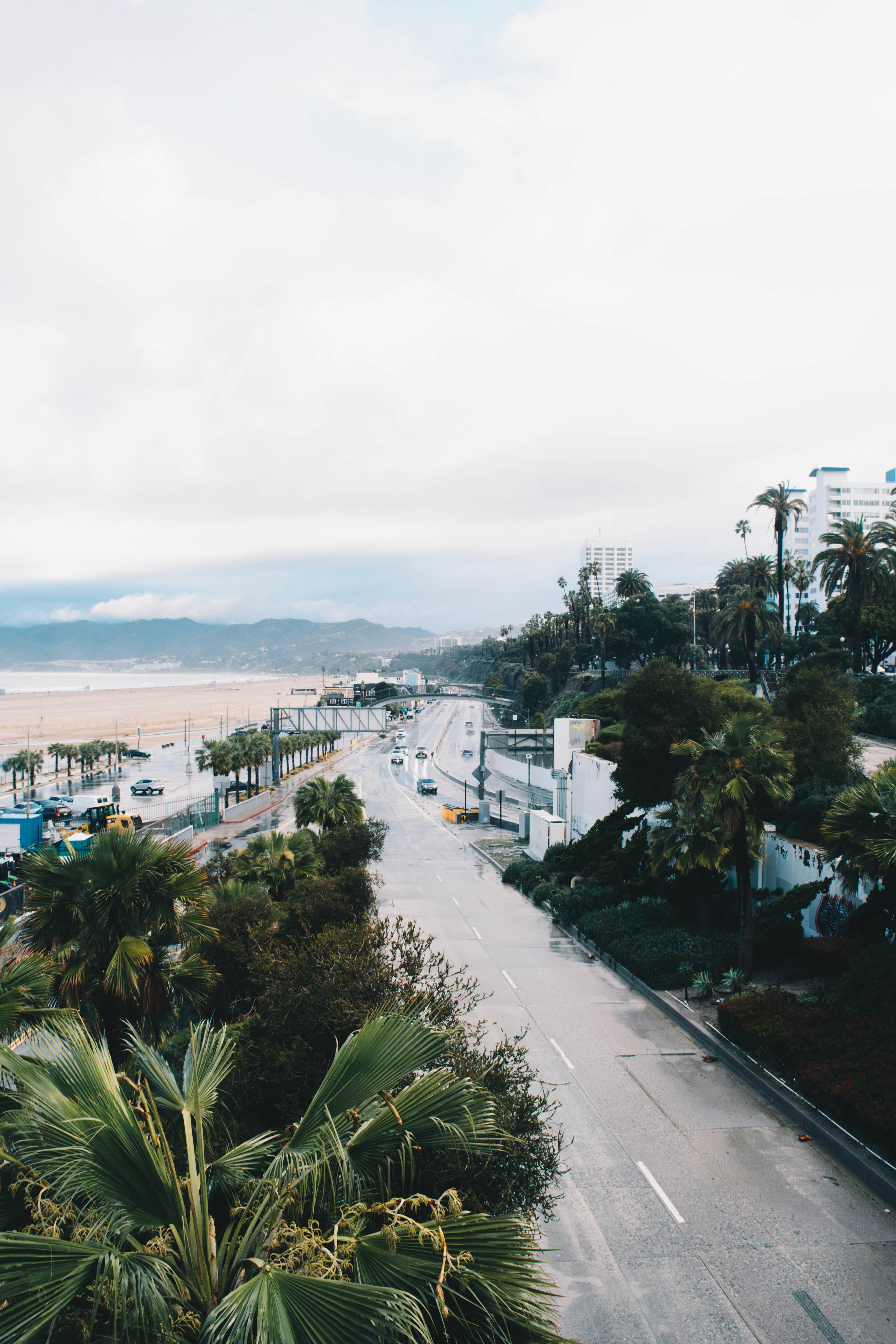 Palm-Lined Coastal Boulevard Toward a Quiet Ocean Horizon