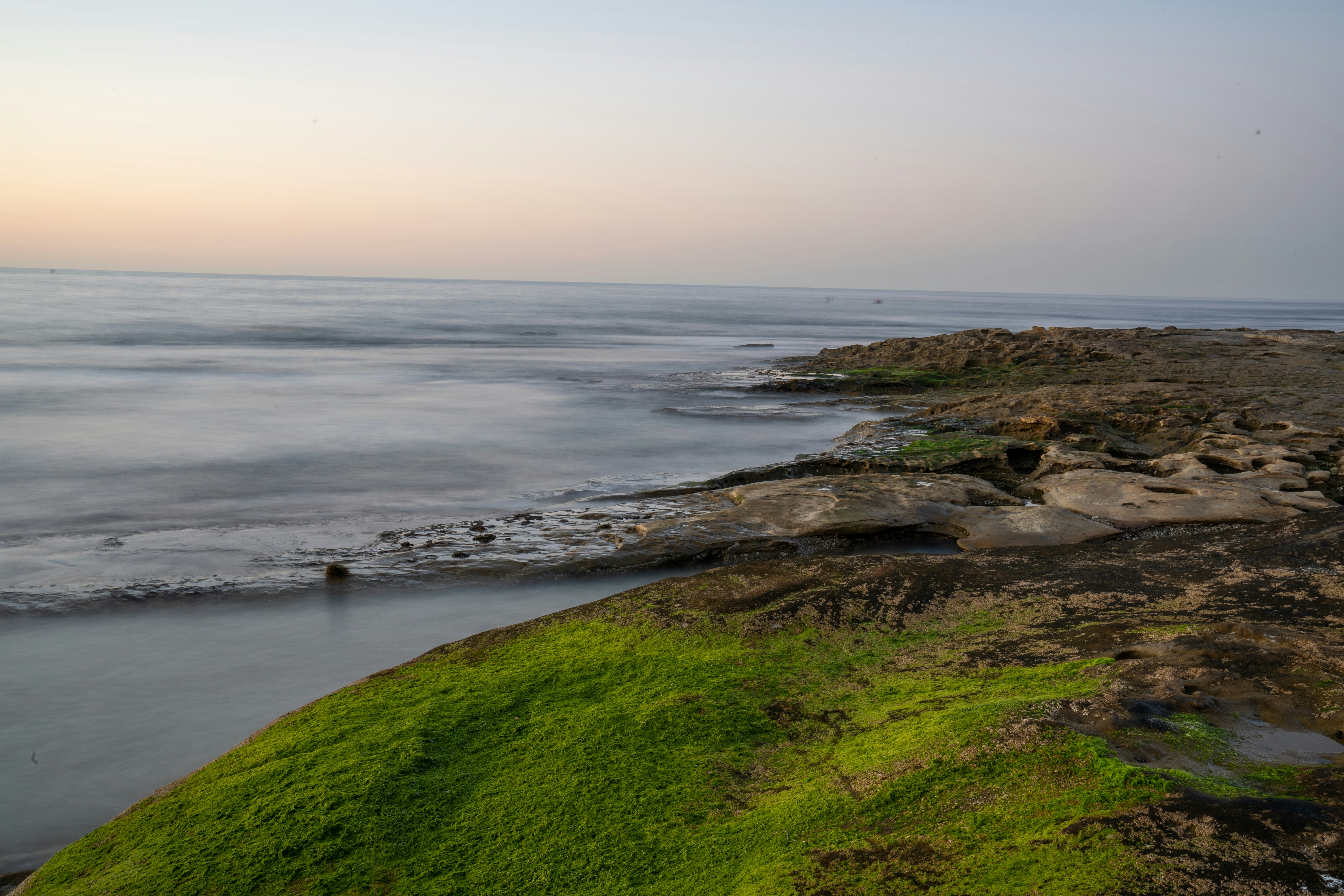 Lichen-Streaked Tidal Edge Under a Quiet Dusk