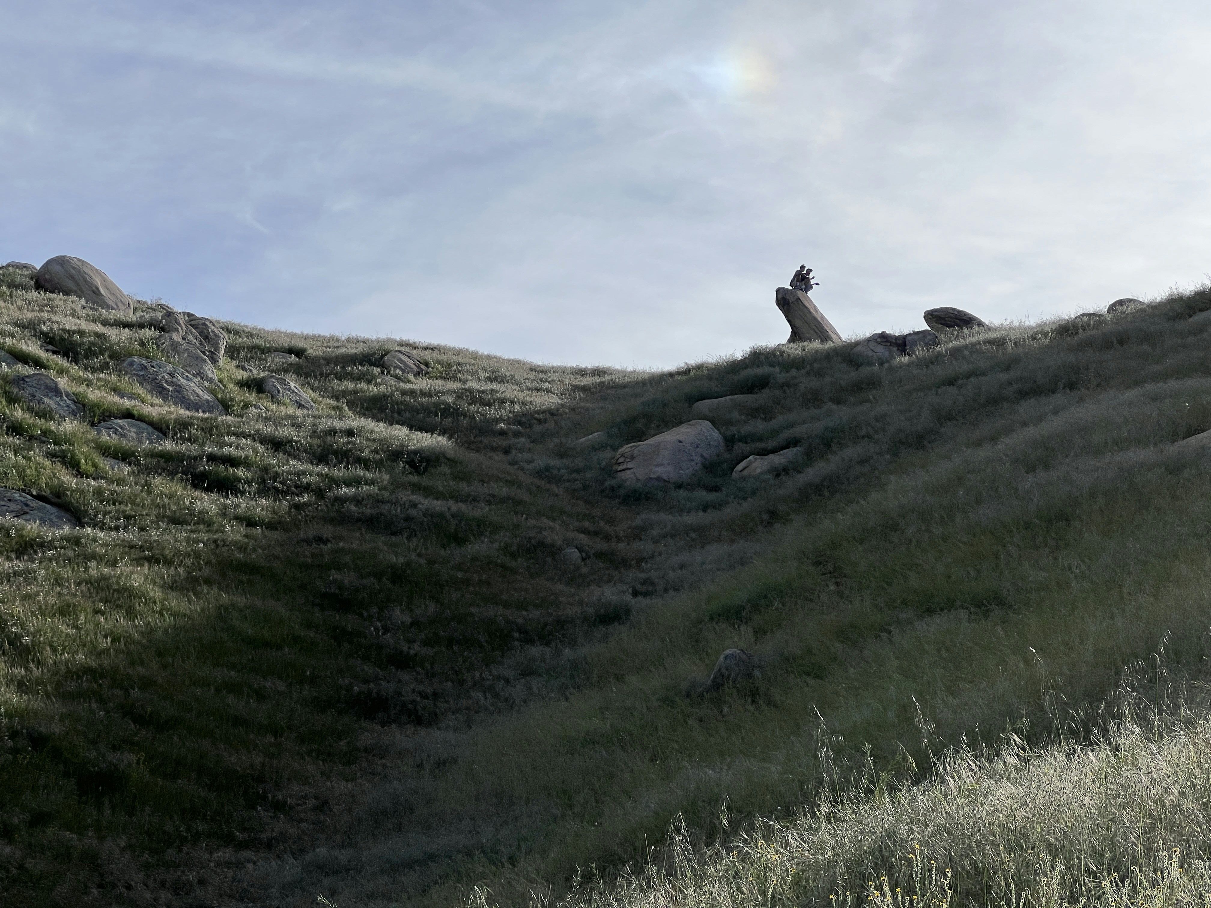Whispers of the Hillside