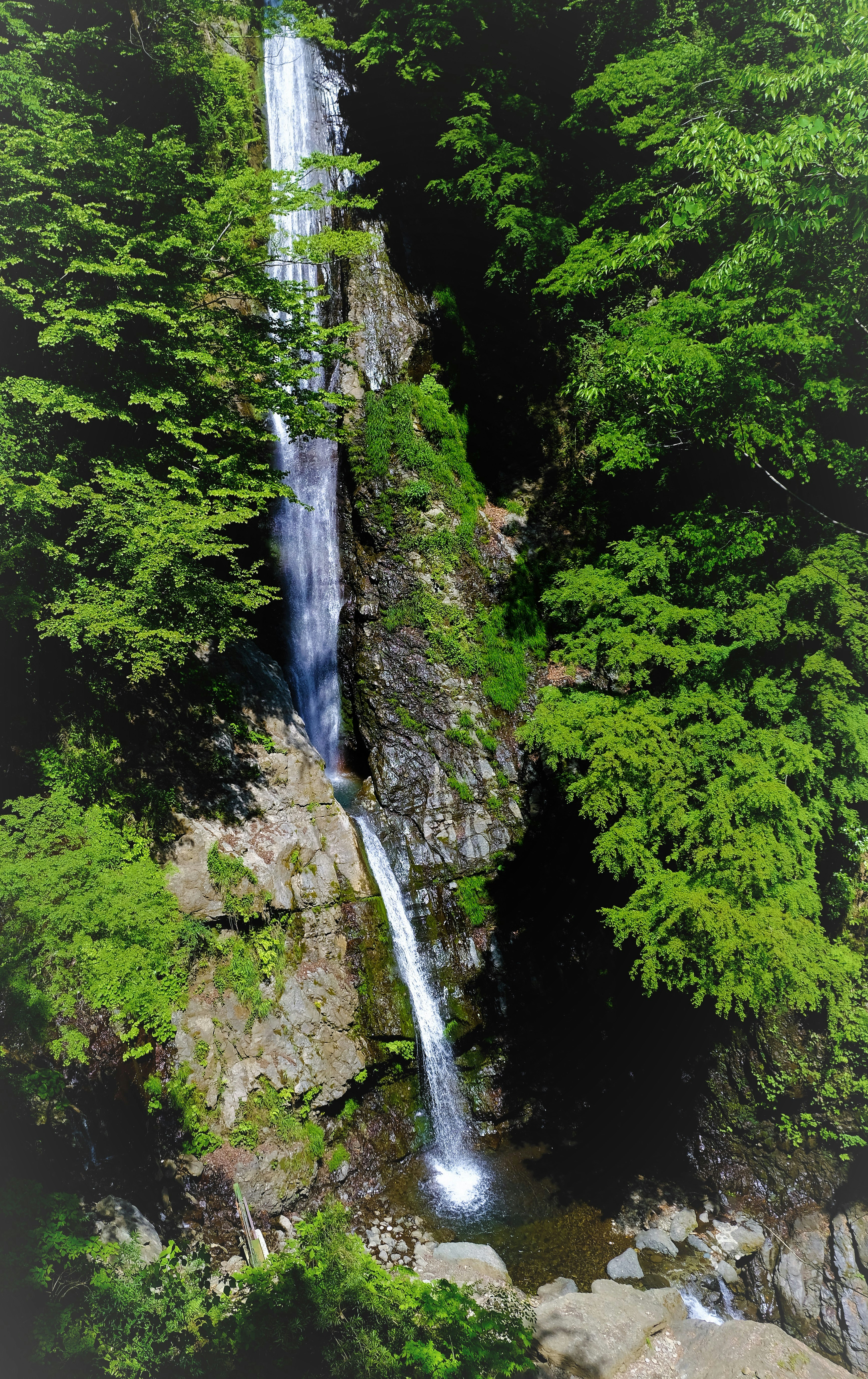 Emerald Veil: Narrow Cascade Through a Mossy Cliff