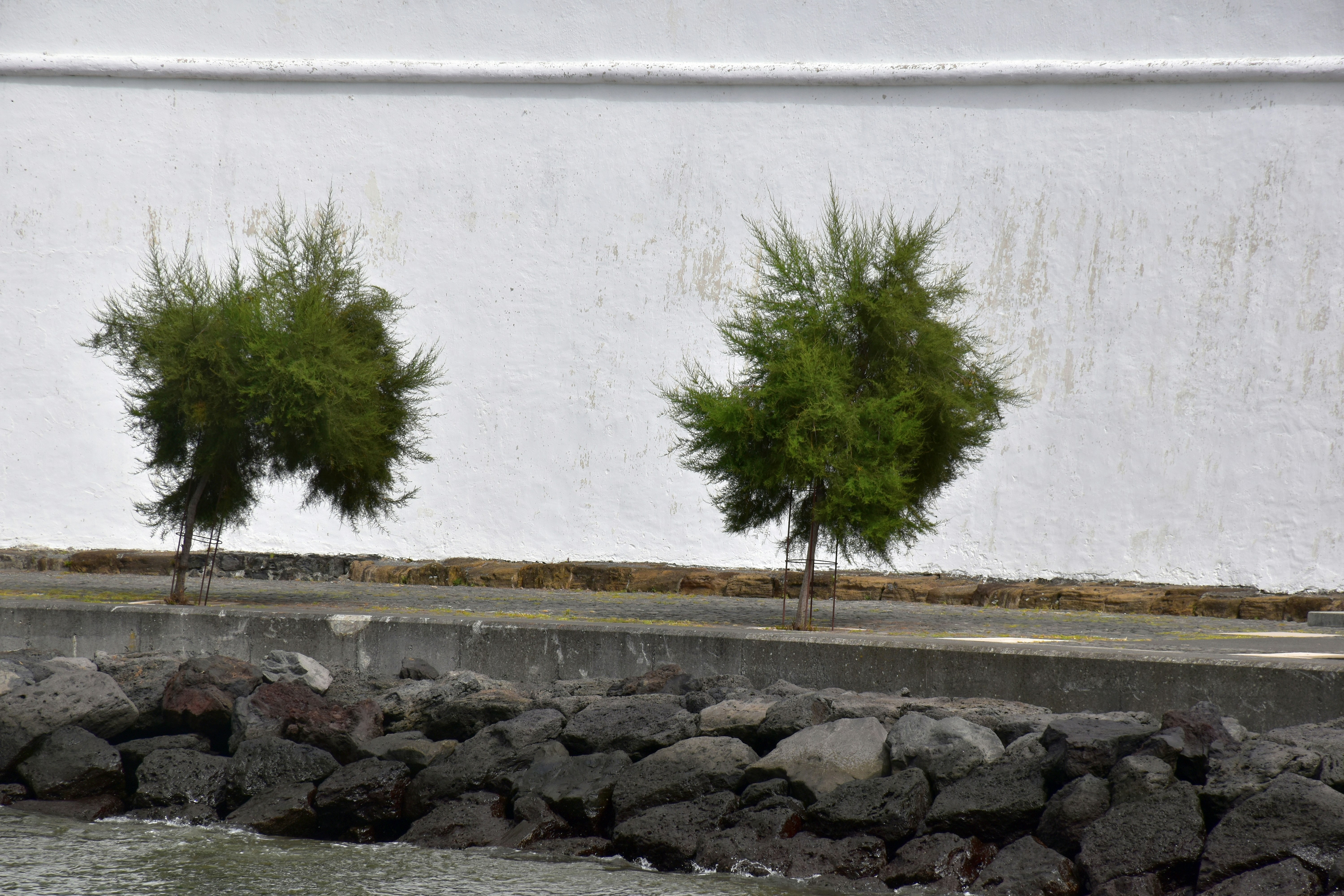 Two Coastal Sentinels Framing a Quiet Seawall by the Water