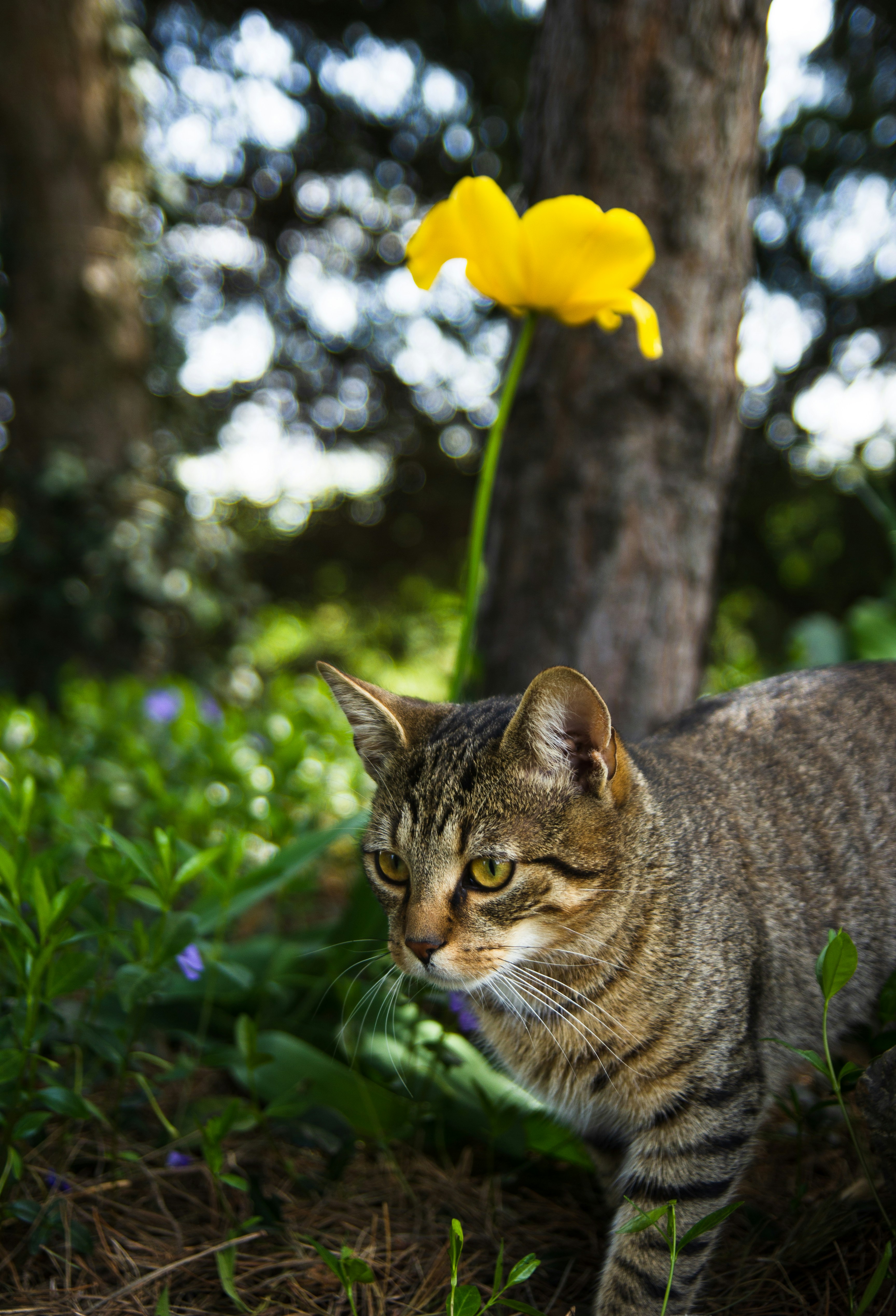 Photo by Magda Kmiecik with Canon EOS 550D