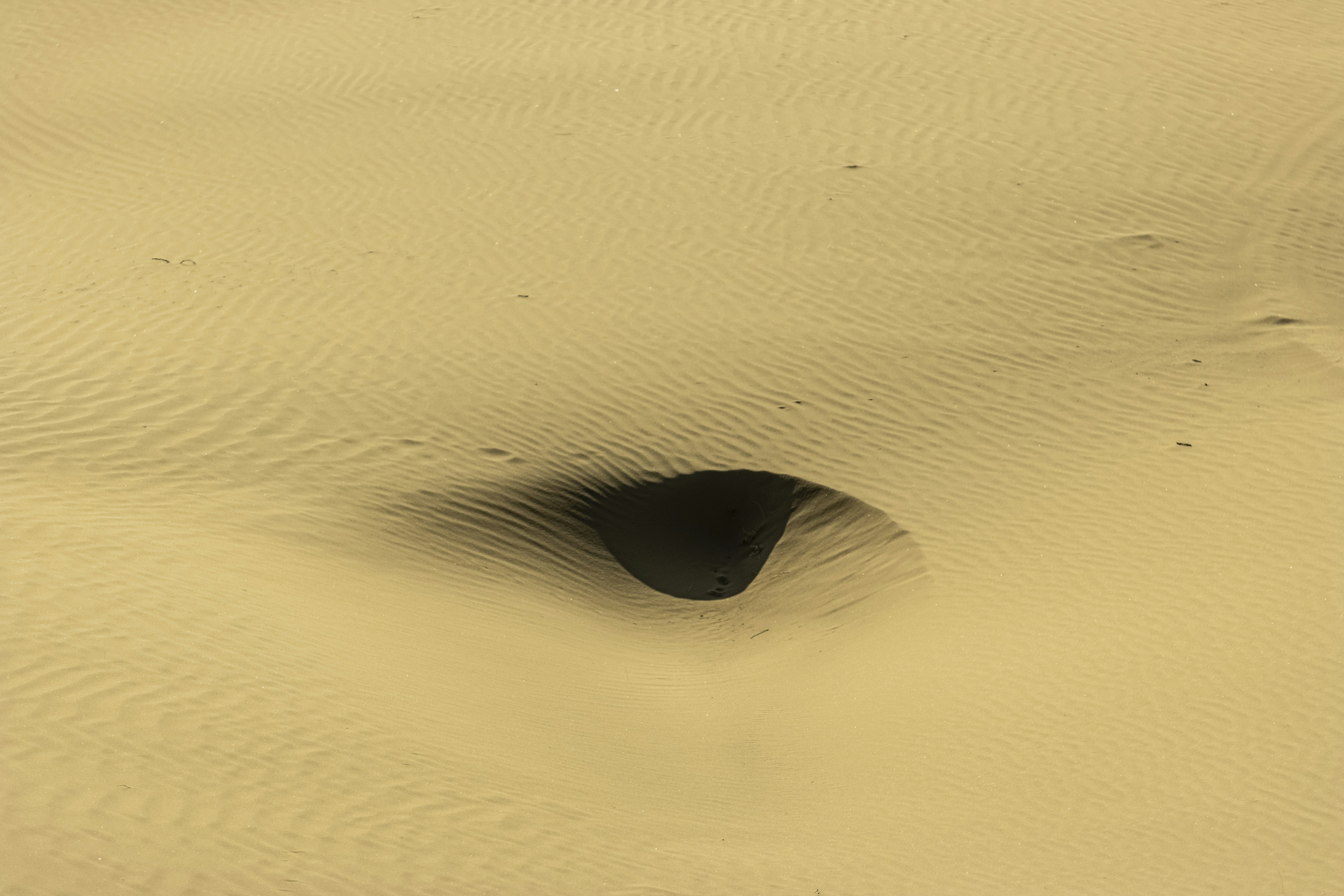 Whispers of the Sand: A Desert's Secret Hollow