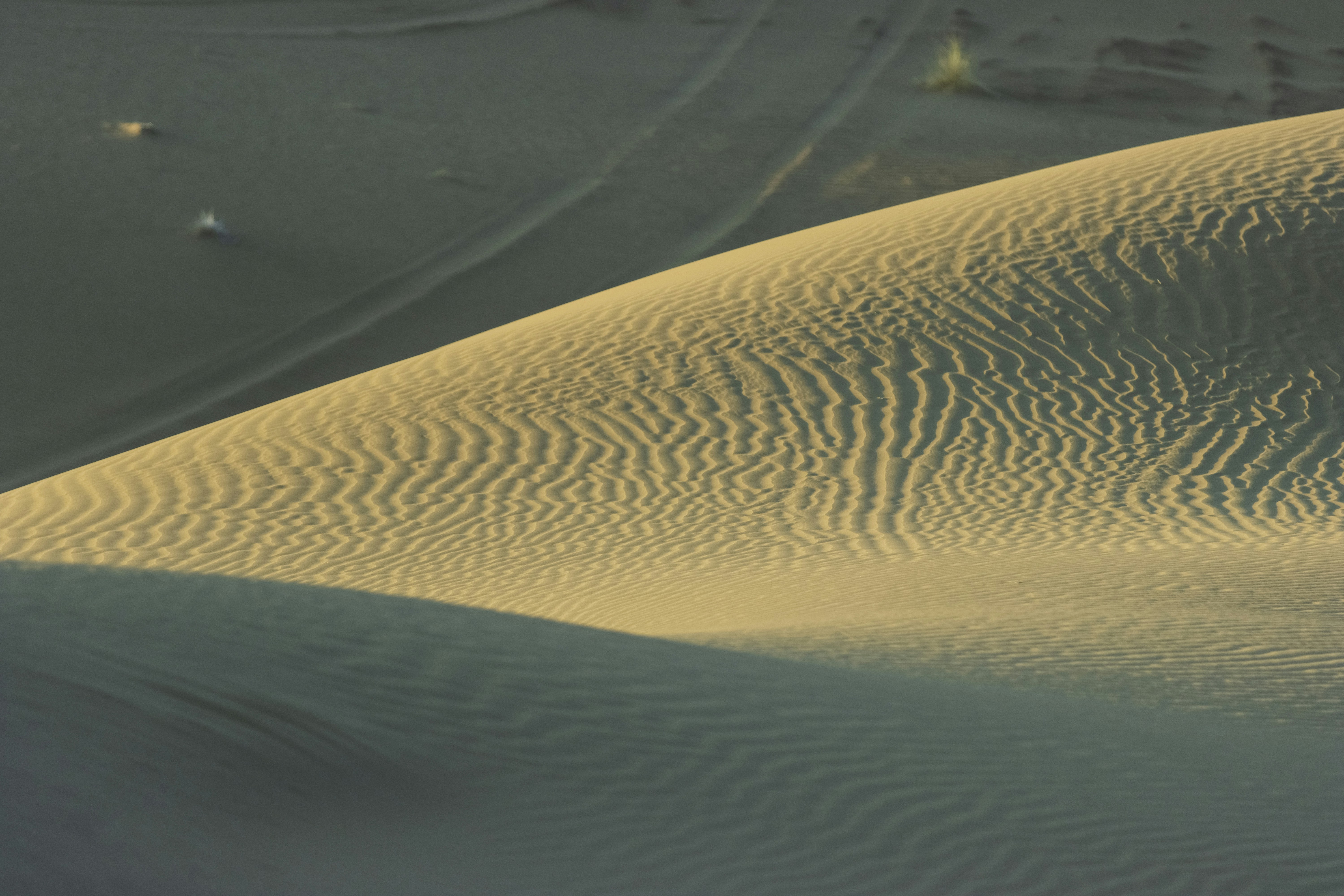 Golden Ripples of Maranjab