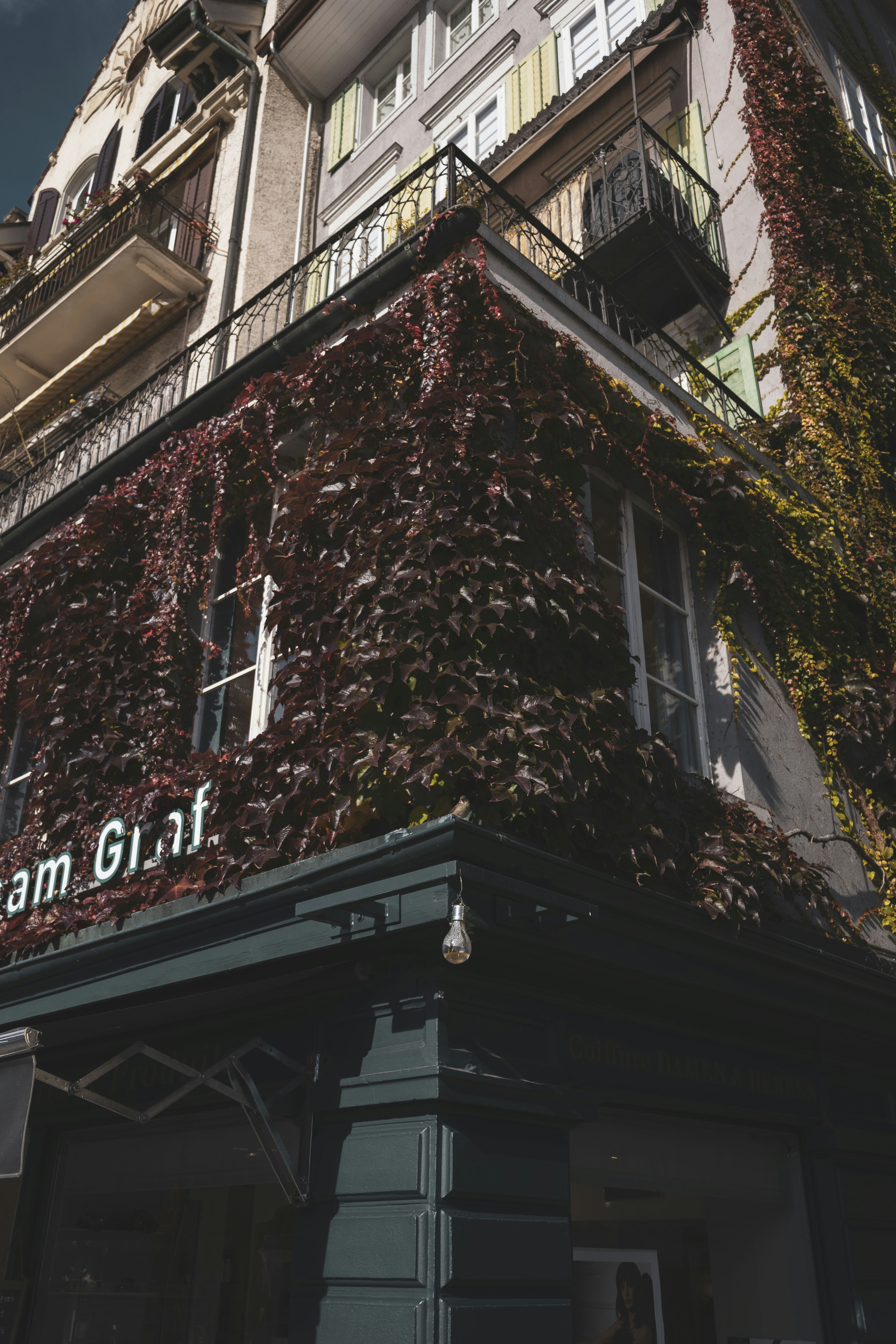 Ivy-Cloaked Corner: Balconied Facade in Quiet Urban Light