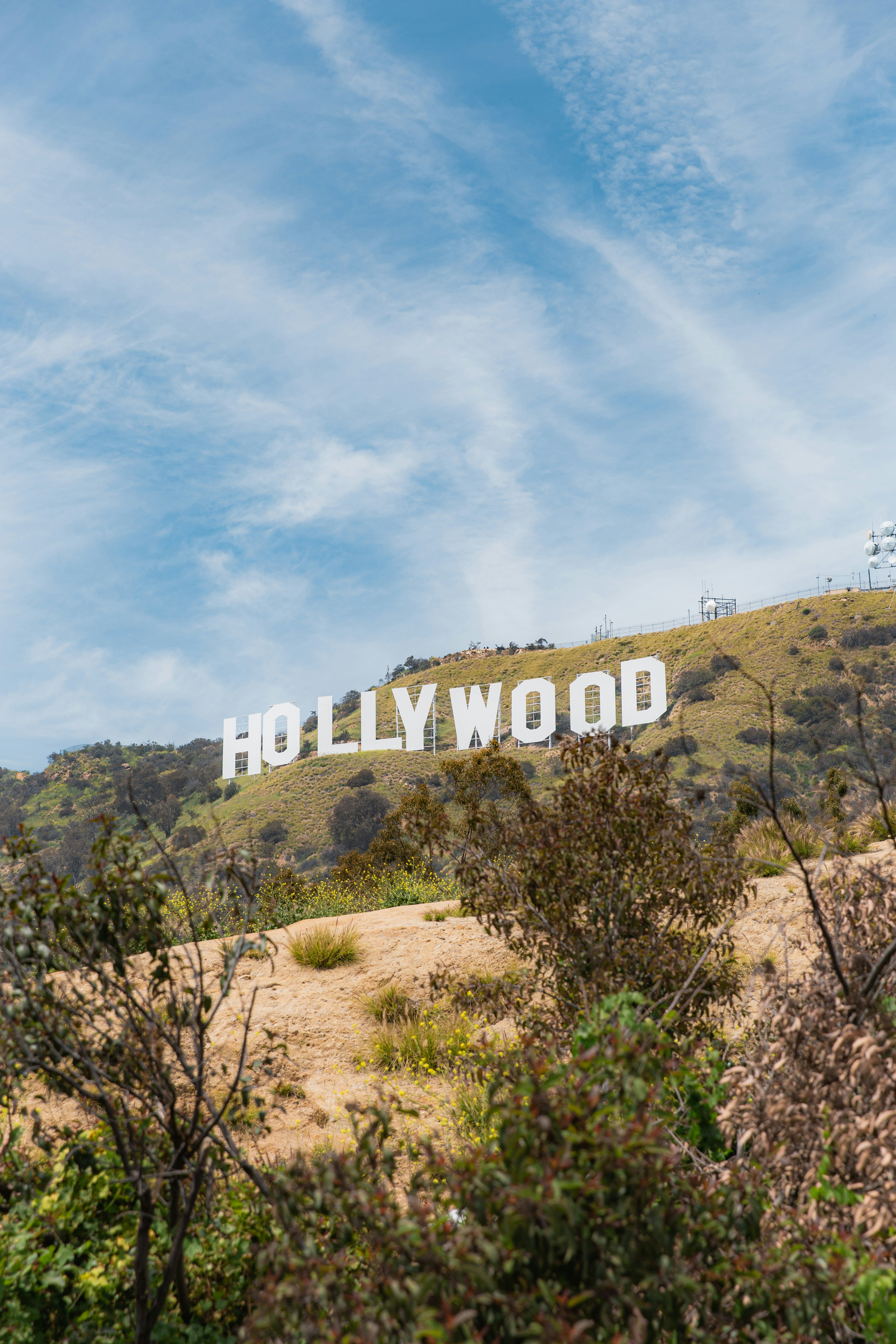 Hollywood Sign Rising Above Chaparral: A Sunlit Vista