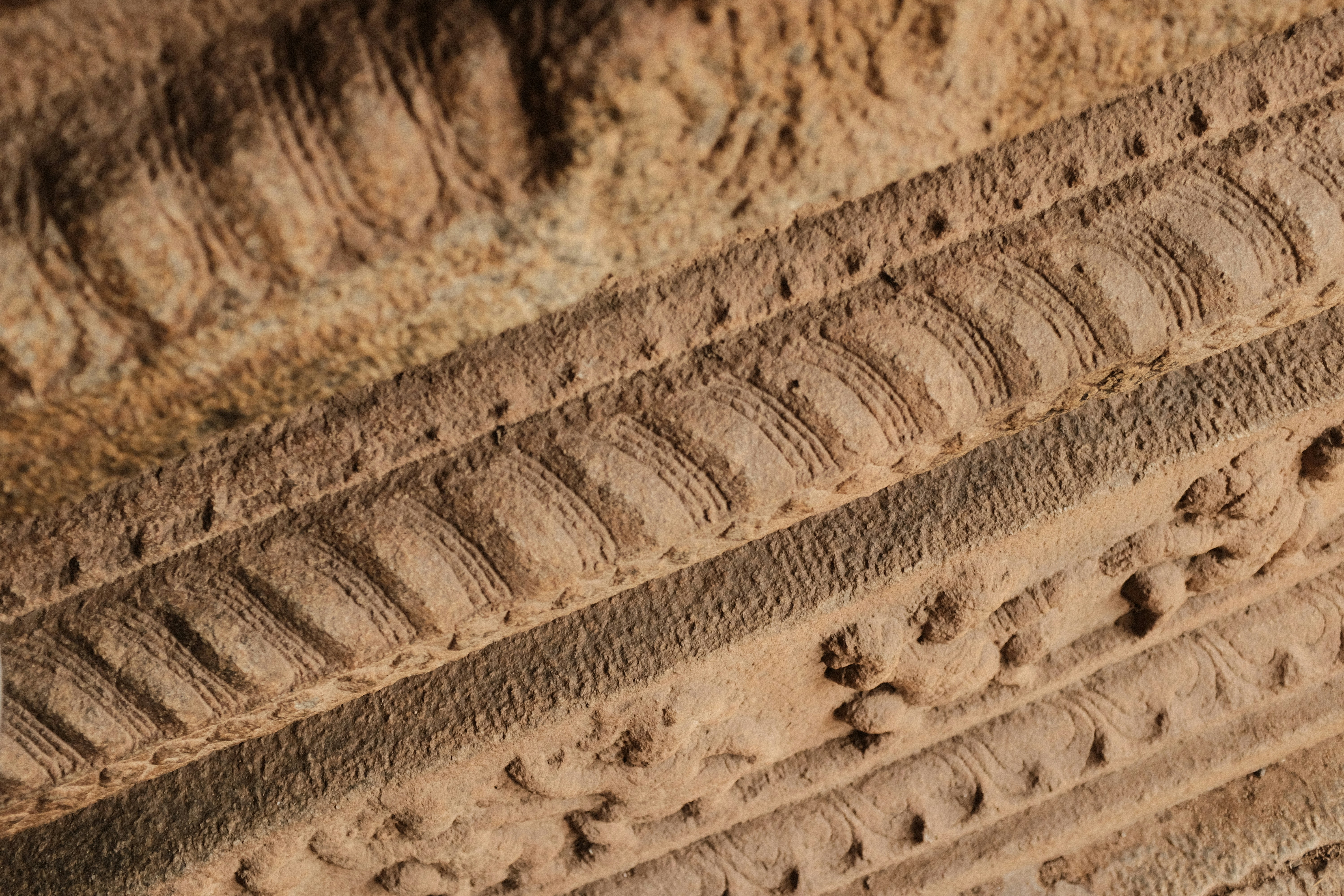 A close up of a zebra's tracks in the sand photo – Free Karnataka Image ...