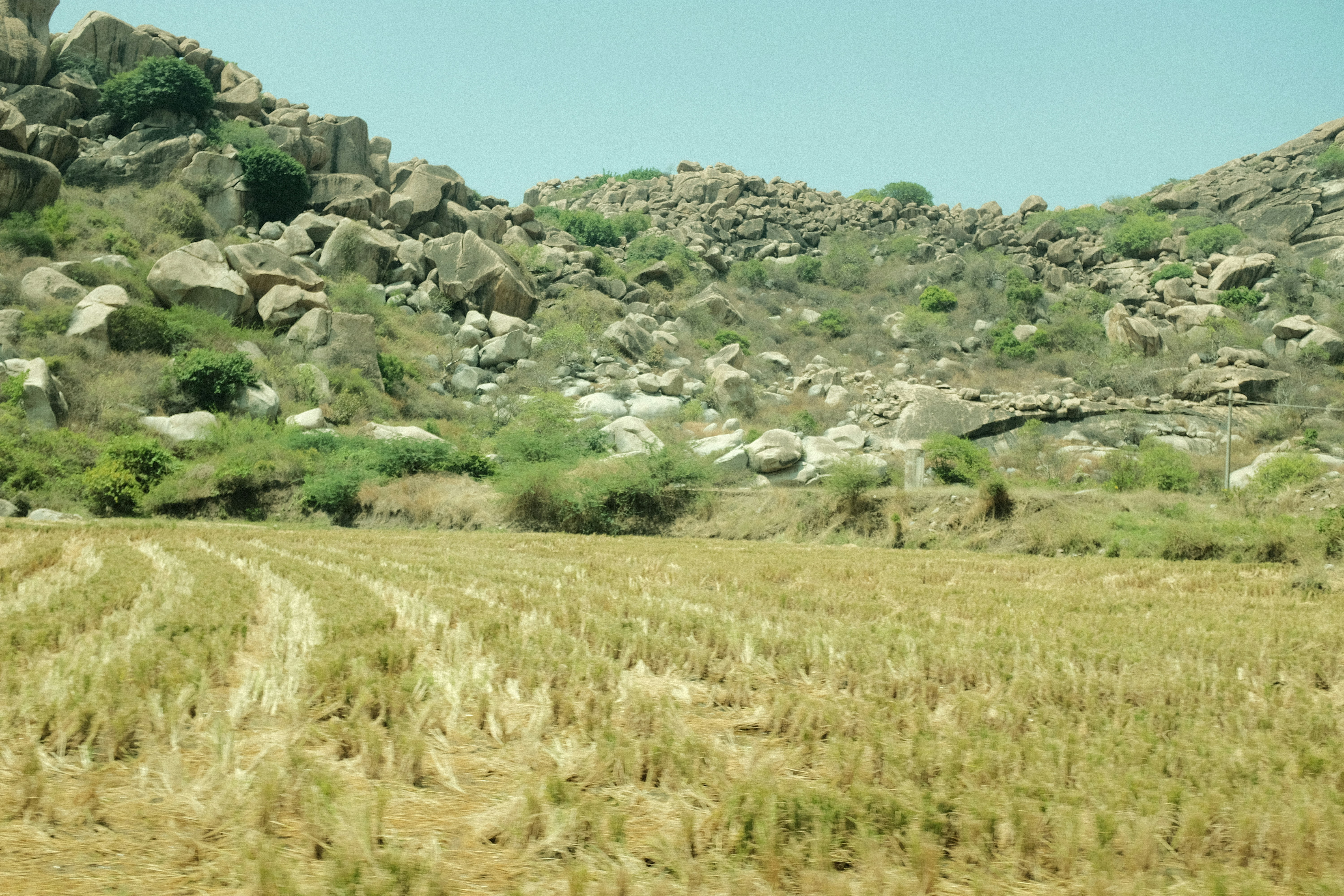 Sunlit Field at the Foot of the Rocks