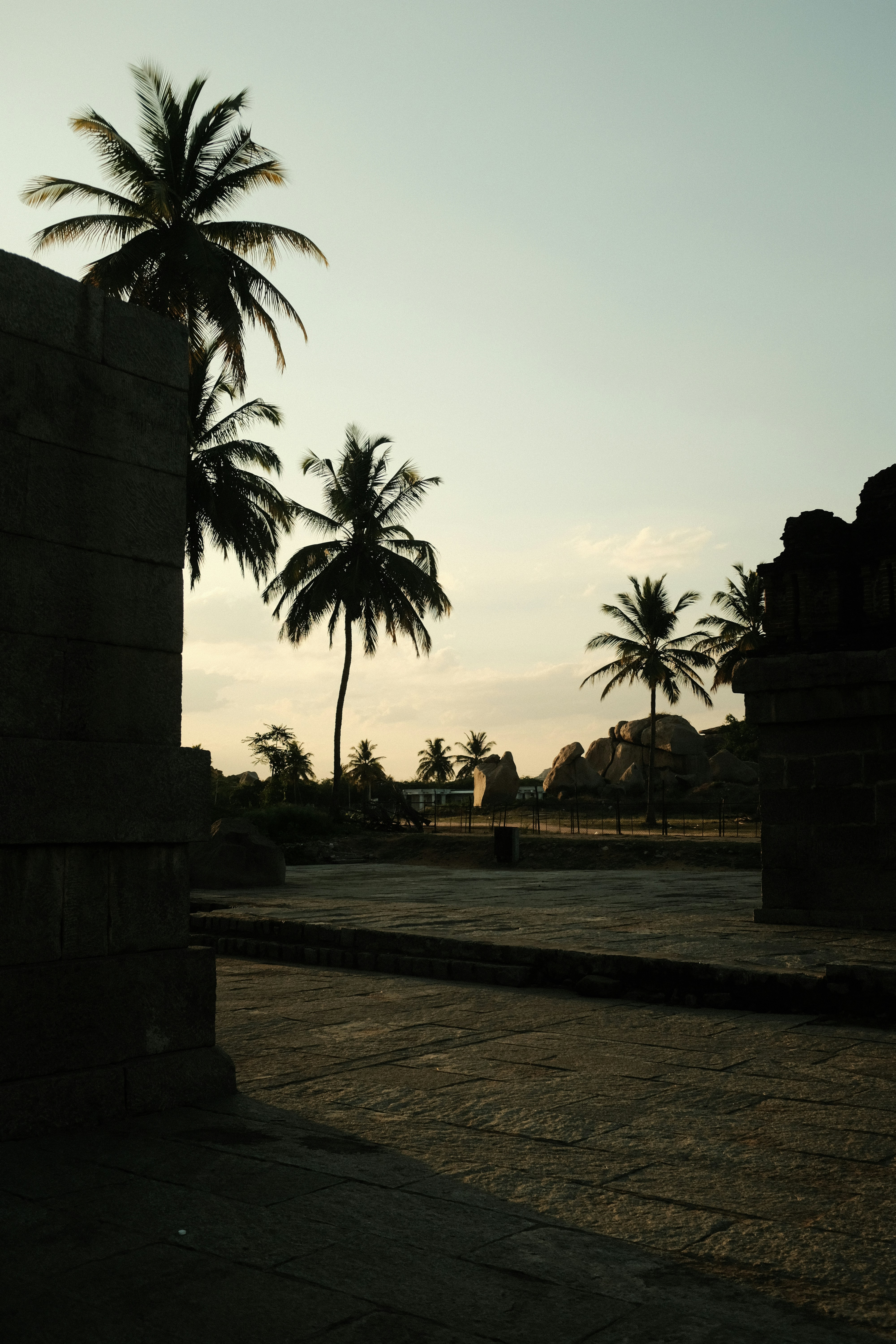 Palm Sentinels at Sunset: Weathered Gateways Framing a Quiet Coastal Ruin