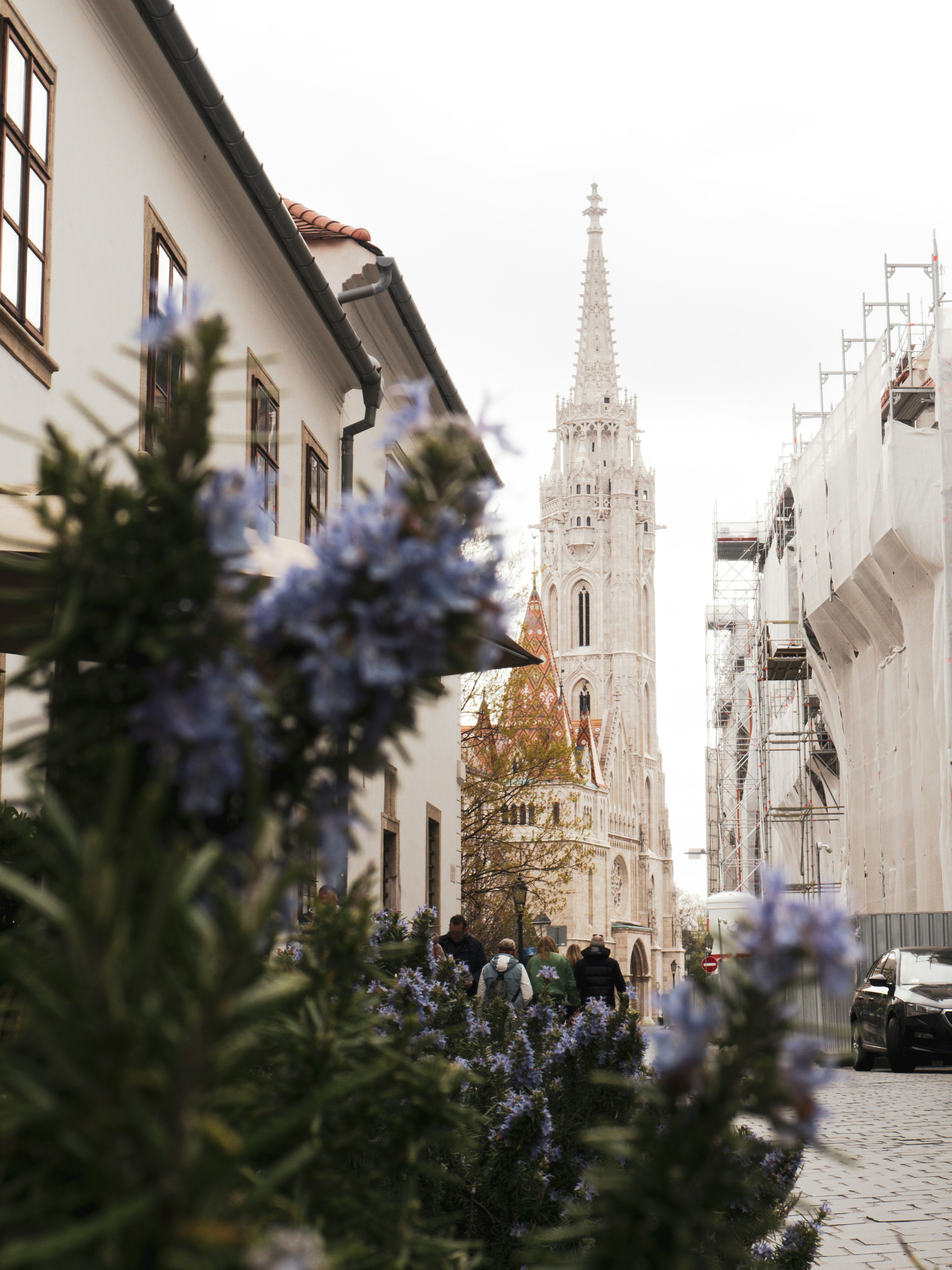 Cadenza of Stone and Lavender: A Street Framed by a Gothic Spire