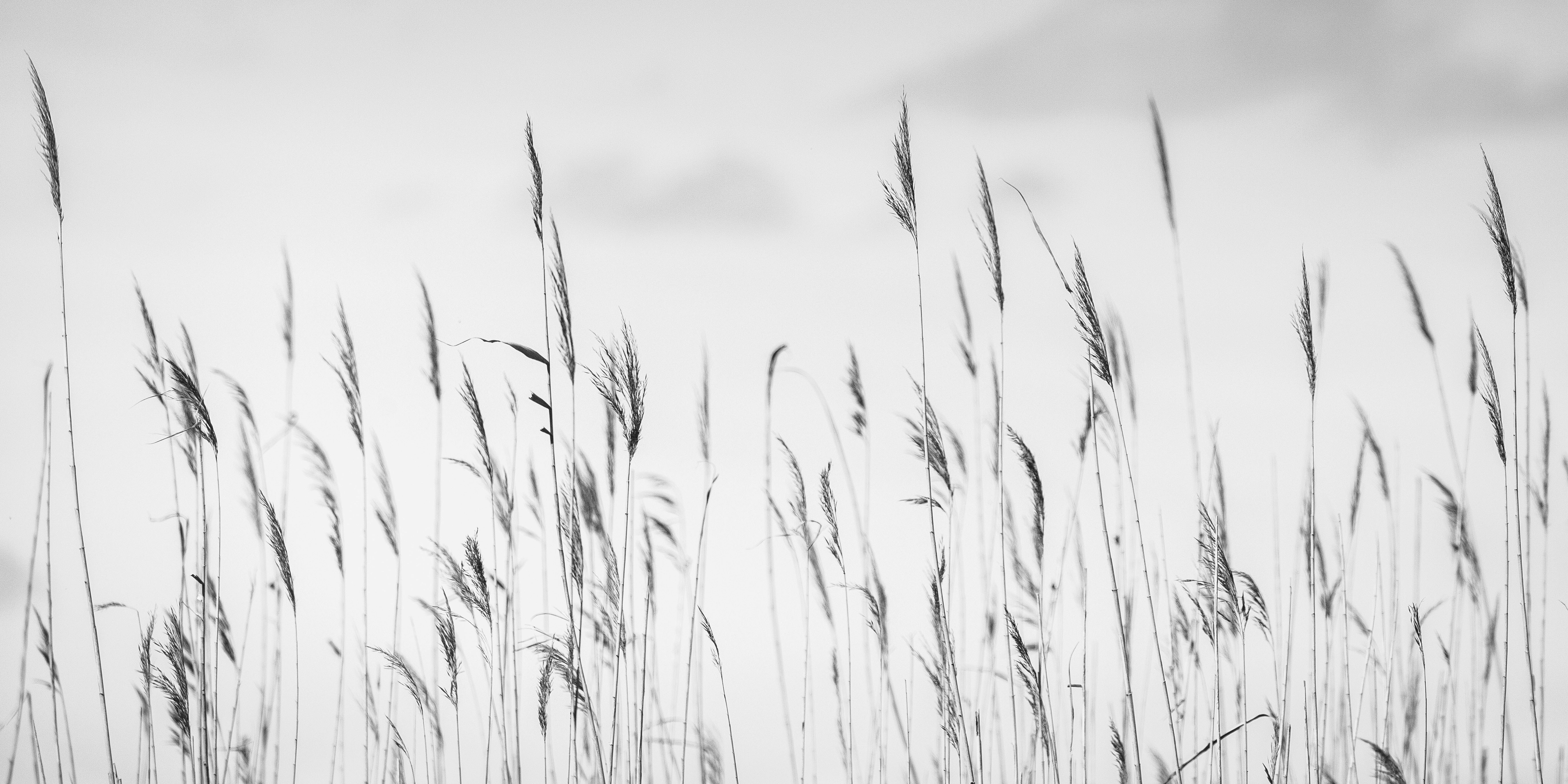 Devin Wright (@devinwrightphotography) | Komunitas Foto Unsplash