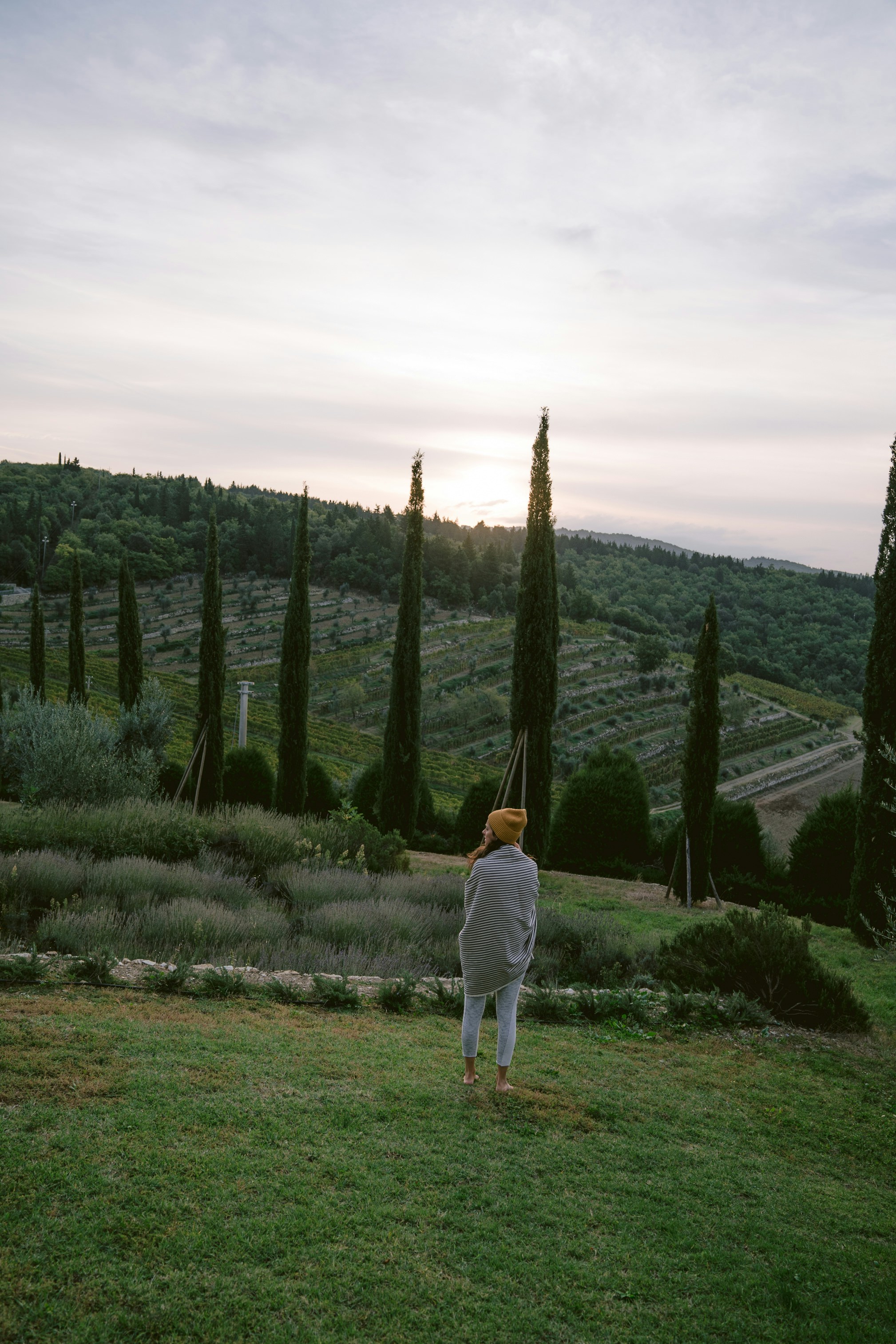 Twilight Pause on a Cypress Terrace