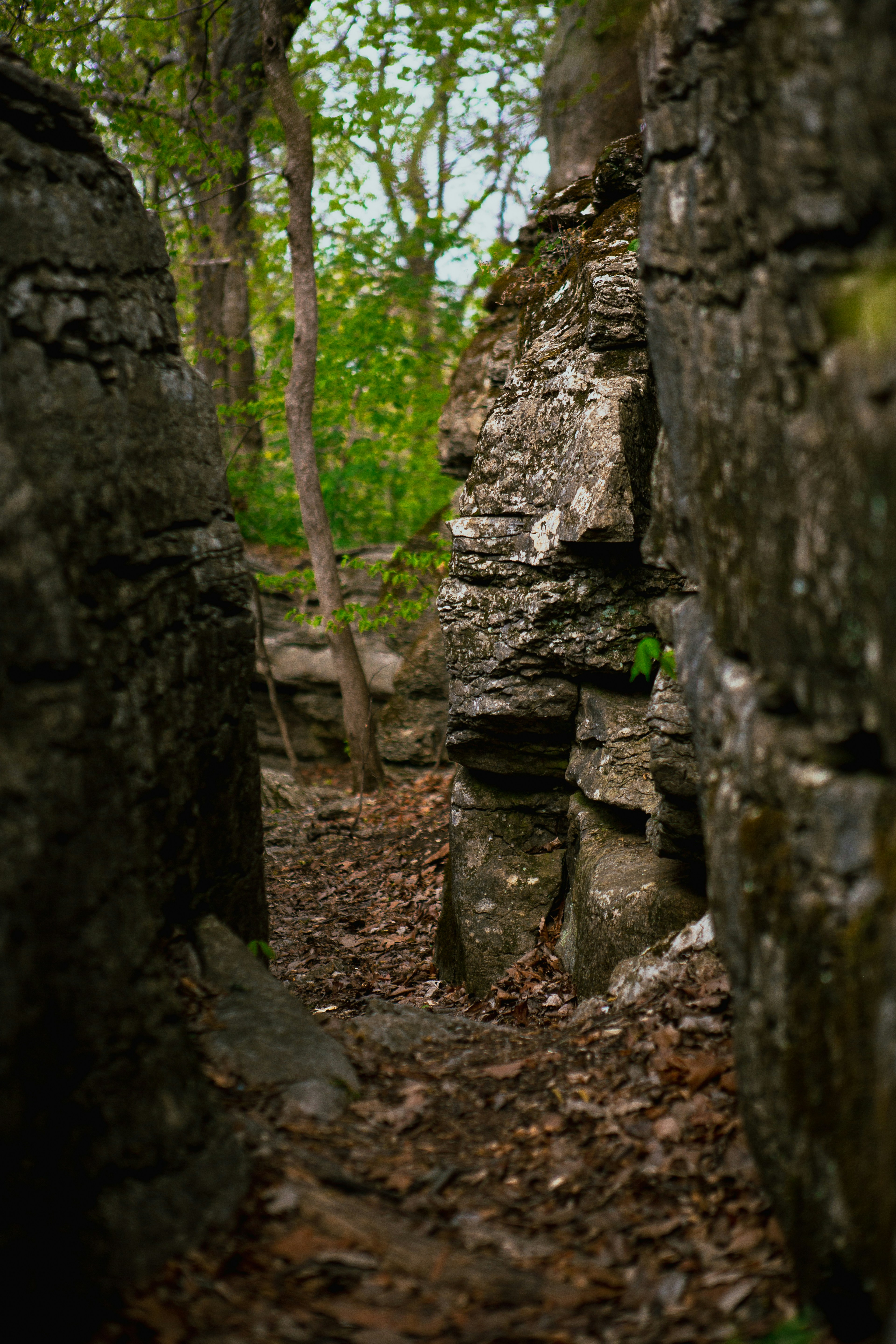 A narrow path between two large rocks in the woods photo – Free Usa ...