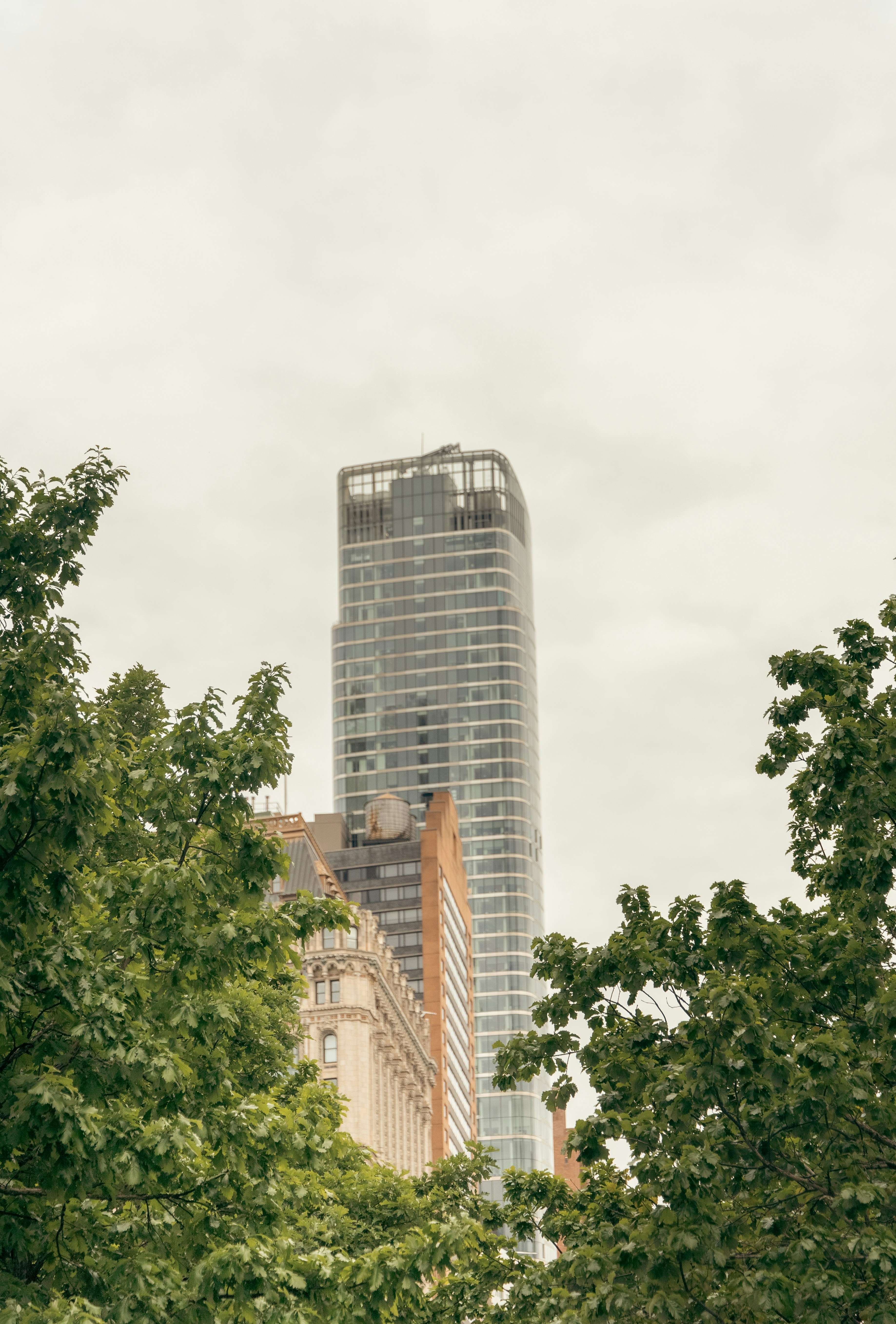 Glass Tower Rising Over a Verdant City Edge