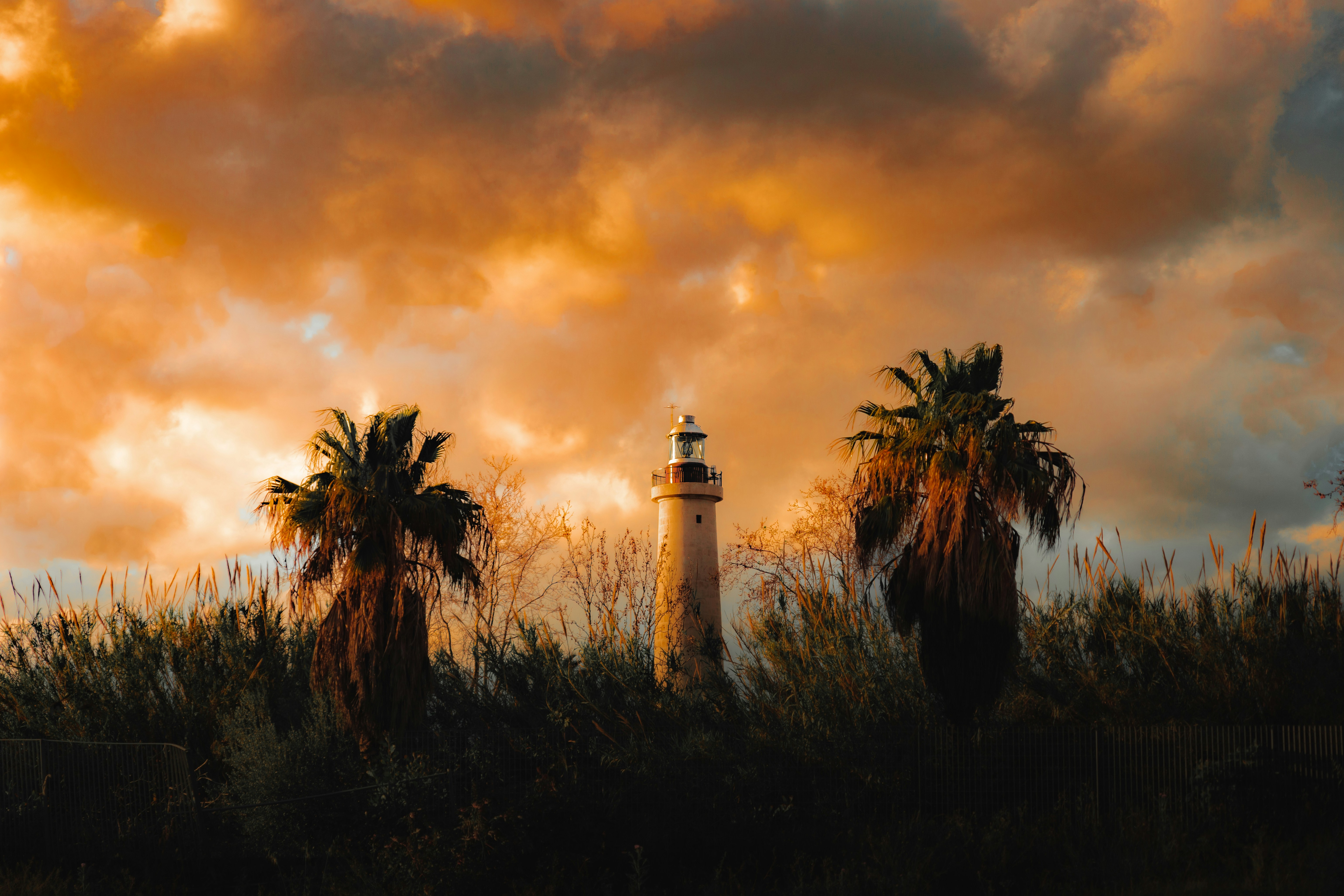 Lighthouse flanked by palm trees under a dramatic cloudy sunset.
