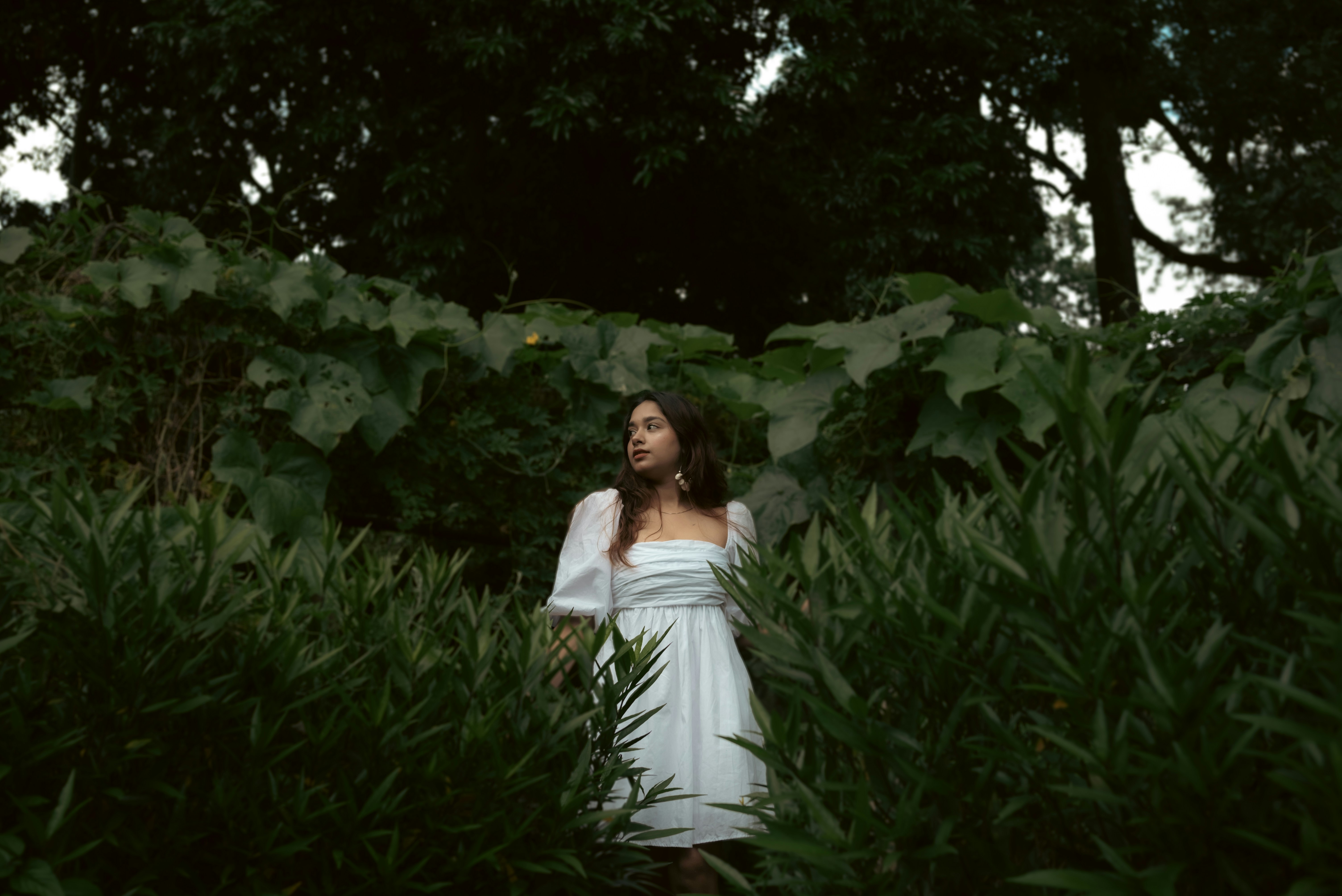 Woman in a white dress surrounded by lush greenery and towering leaves.