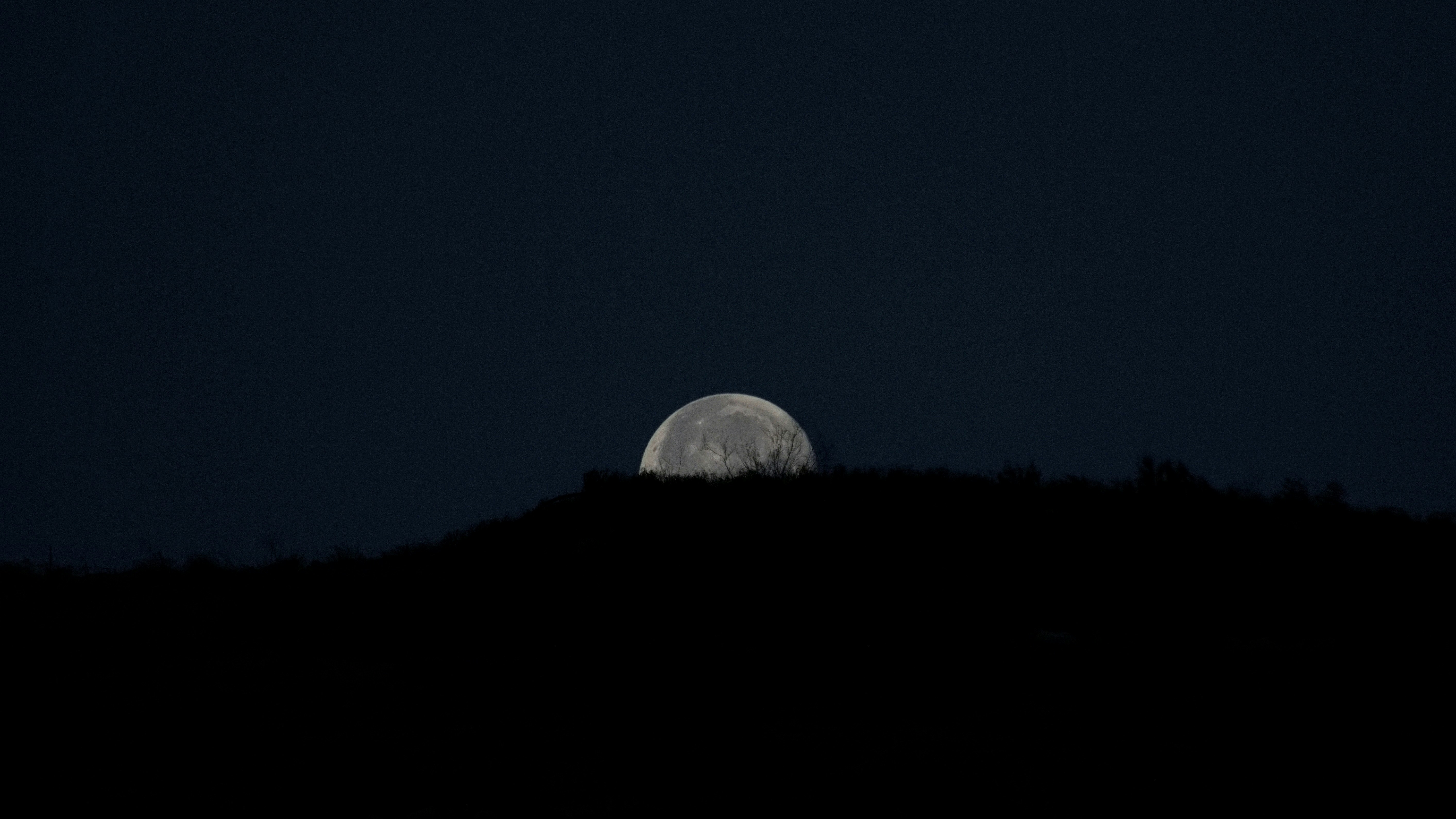 A full moon rising over a hill with trees photo – Free Malta Image on ...