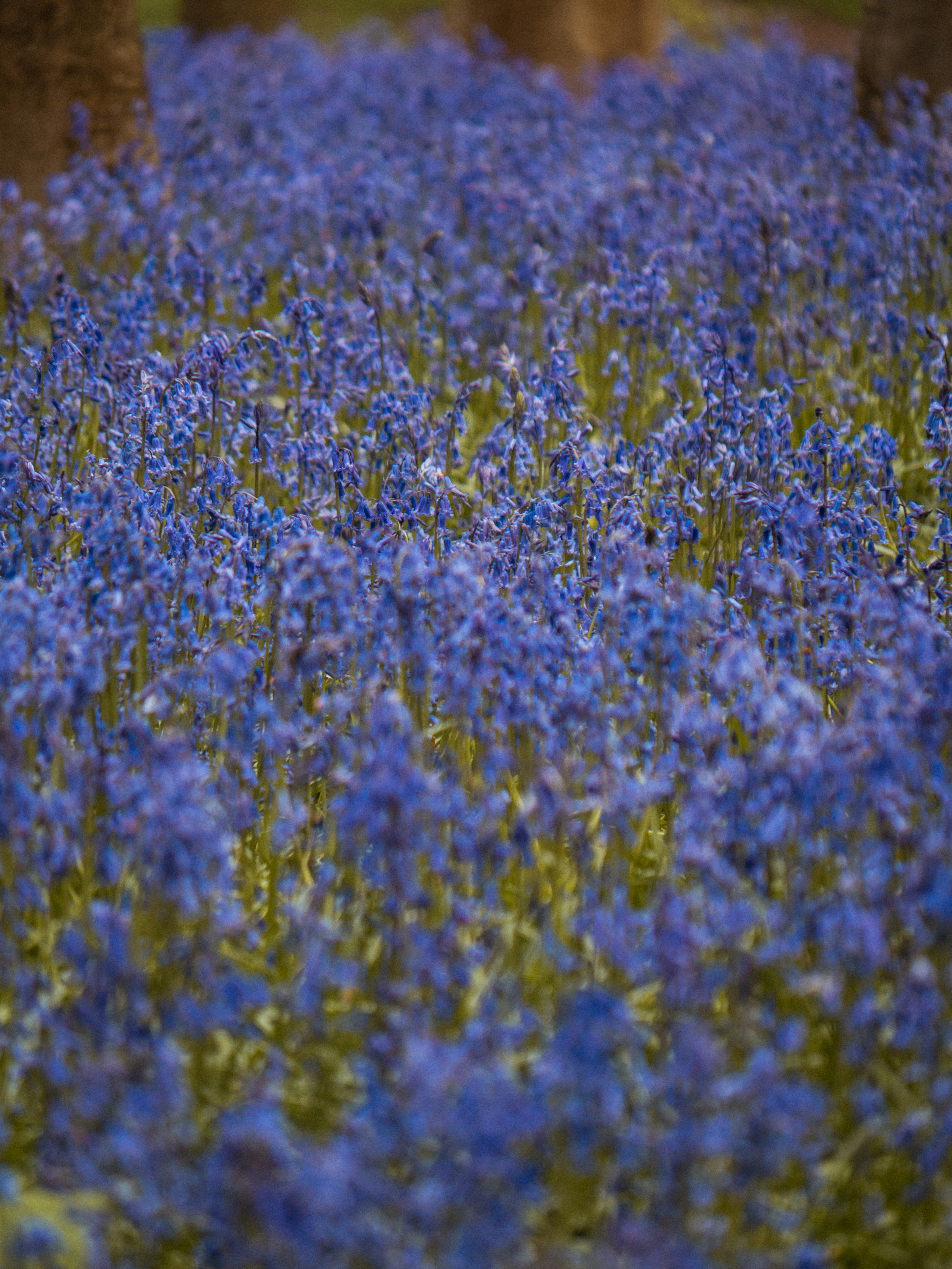 Photo by Matt Seymour with Panasonic Lumix G7