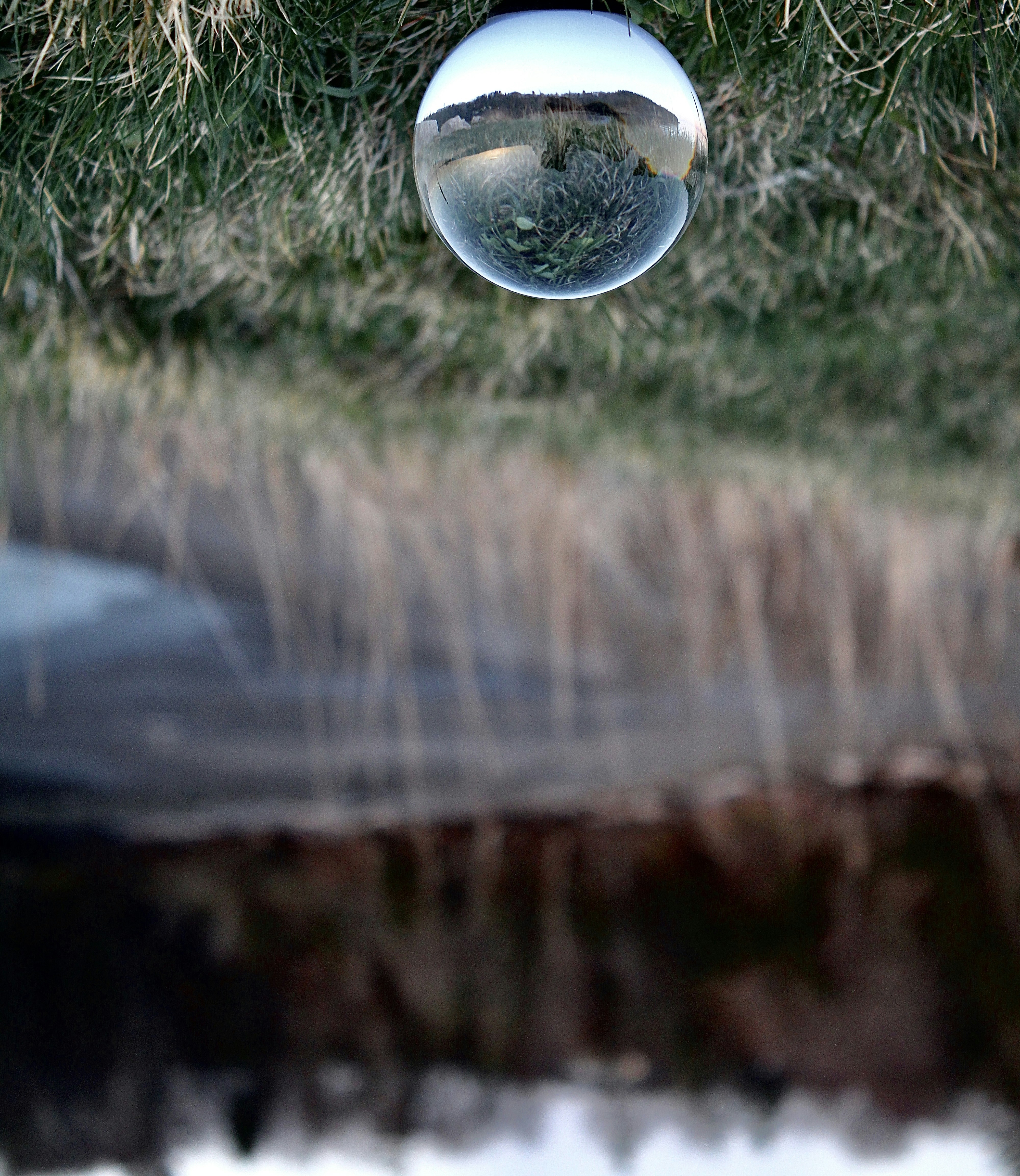 A reflection of a tree in a mirror photo – Free Outdoors Image on Unsplash