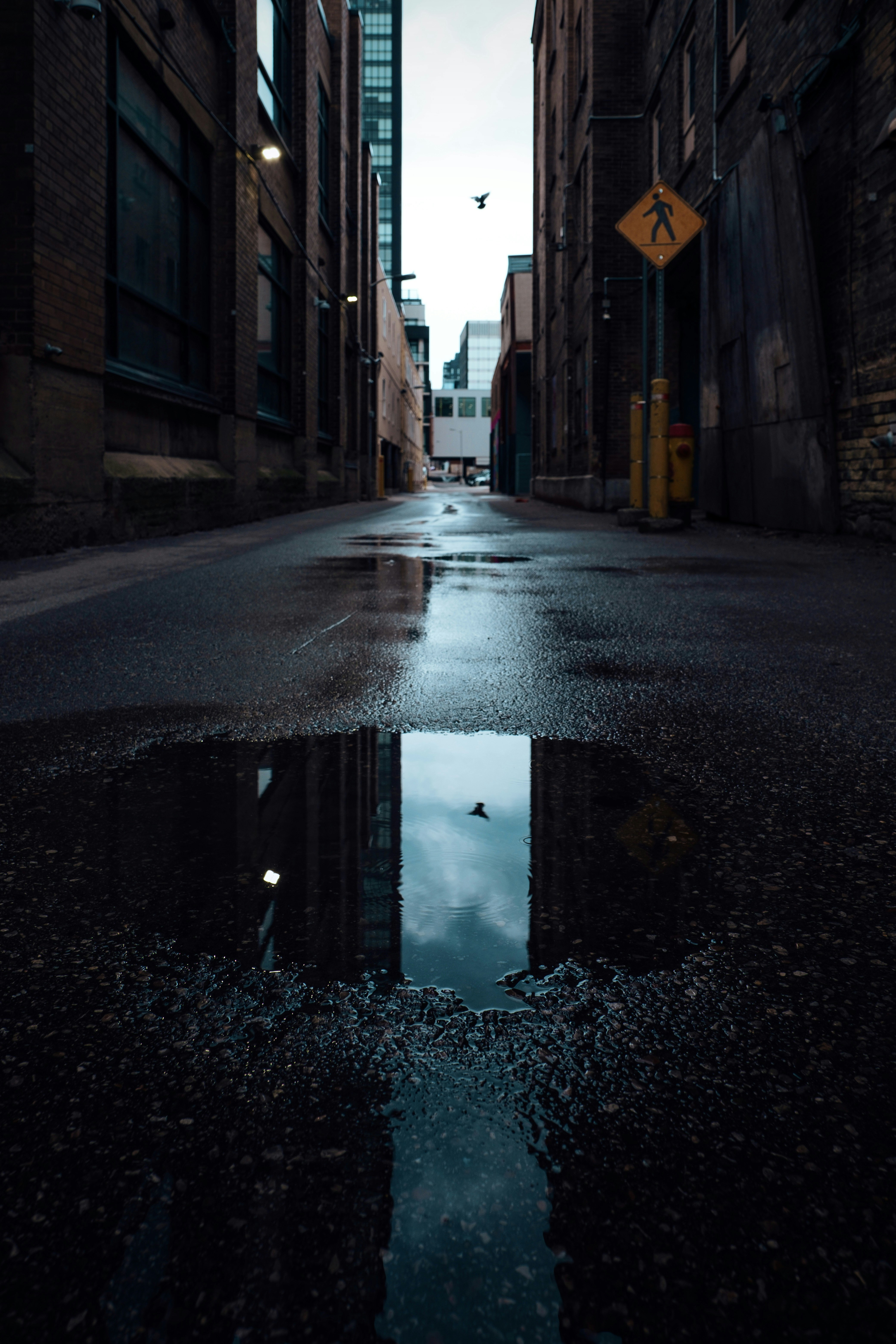 Une flaque d’eau dans une rue de la ville photo – Photo Waterloo ...
