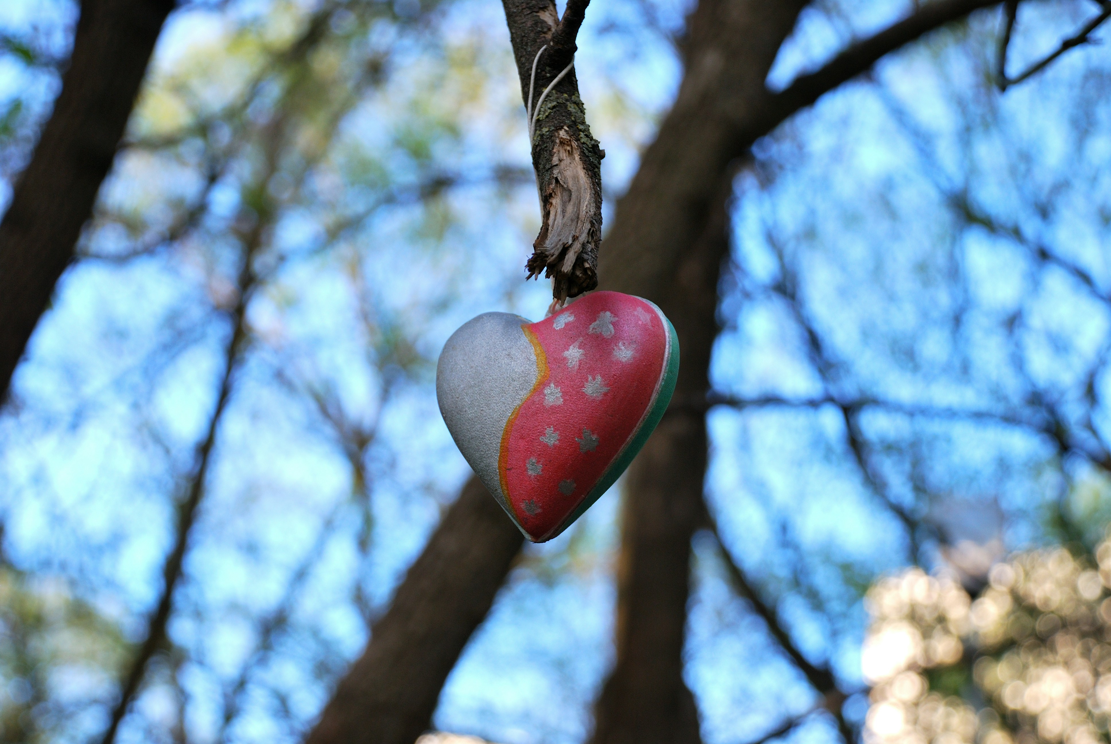 Photo by Anton Pavlov with Nikon D60