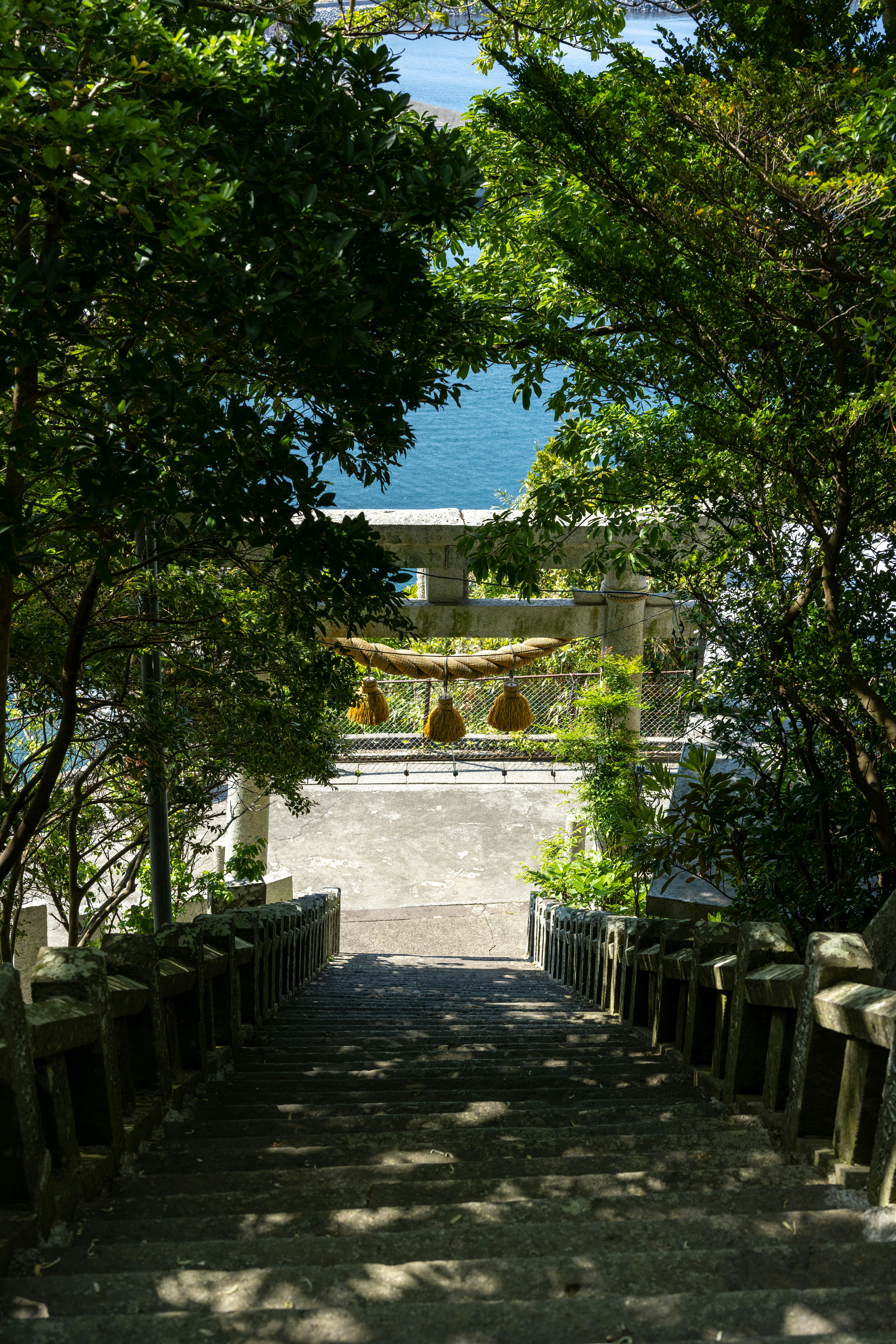 Photo by Kouji Tsuru with Nikon Z7 II