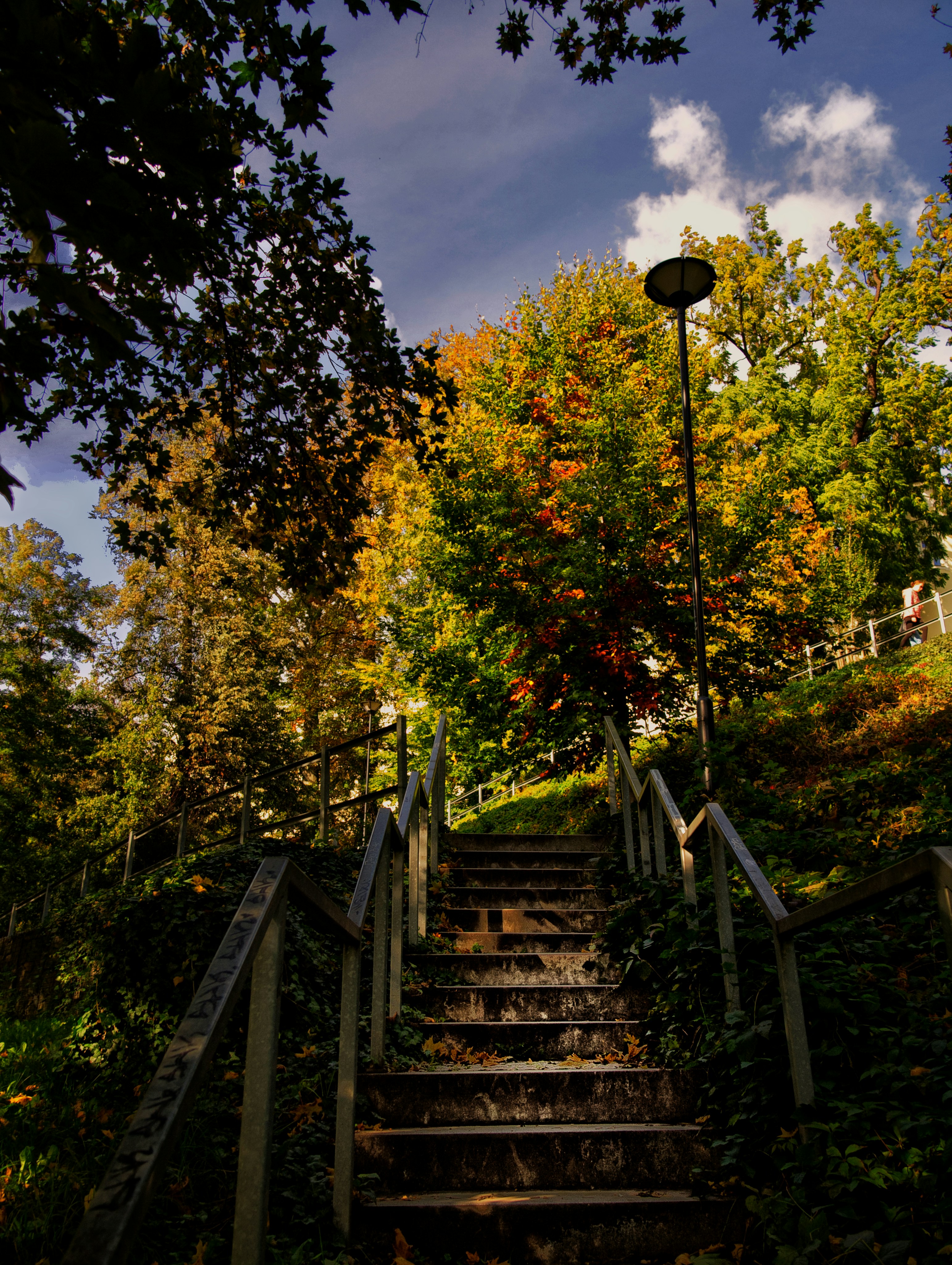 Sunlit stone steps wind up through a dense autumn forest, flanked by railings with a lamp post against a bright blue sky.