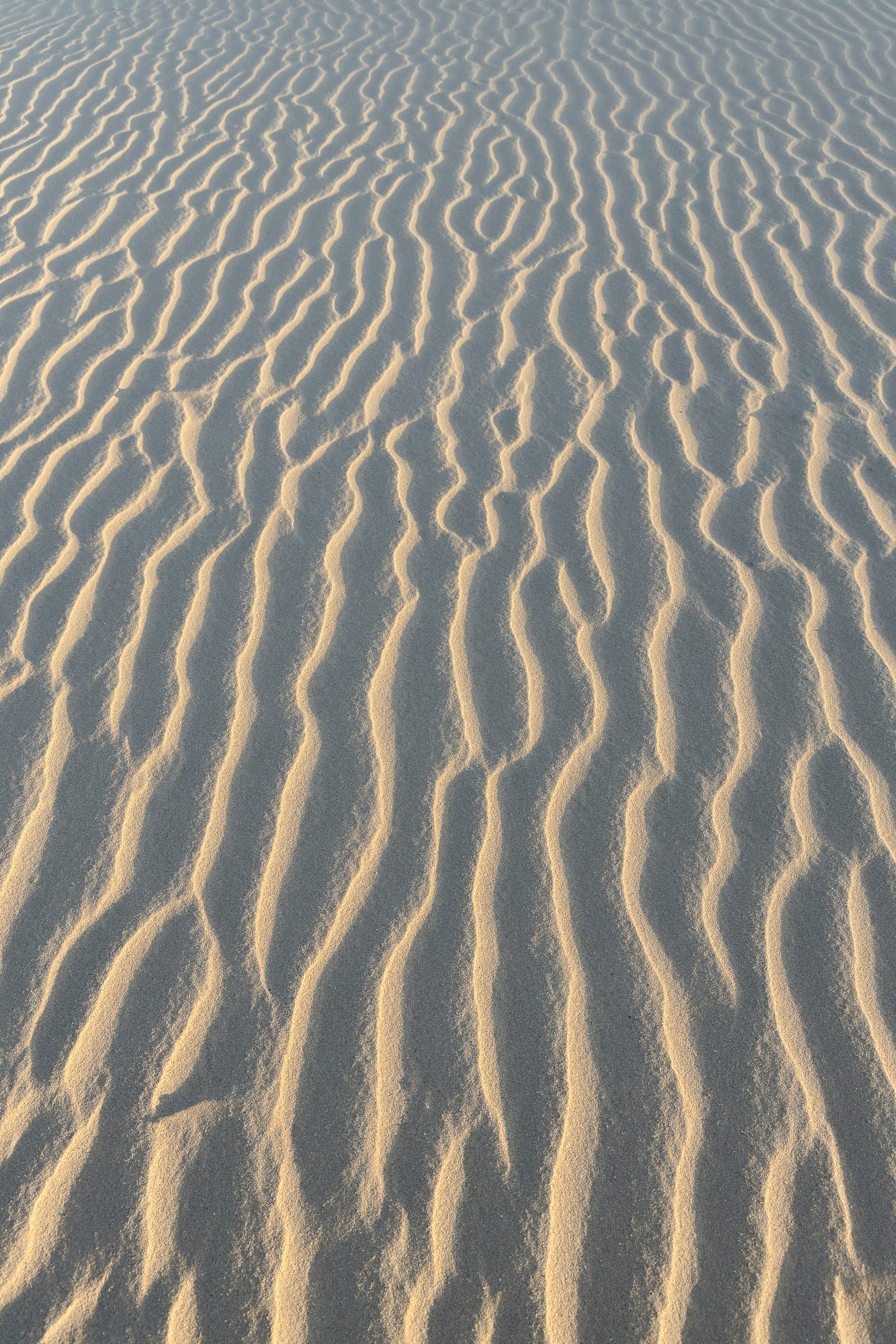 A sandy beach covered in lots of sand photo – Free Texture Image on ...