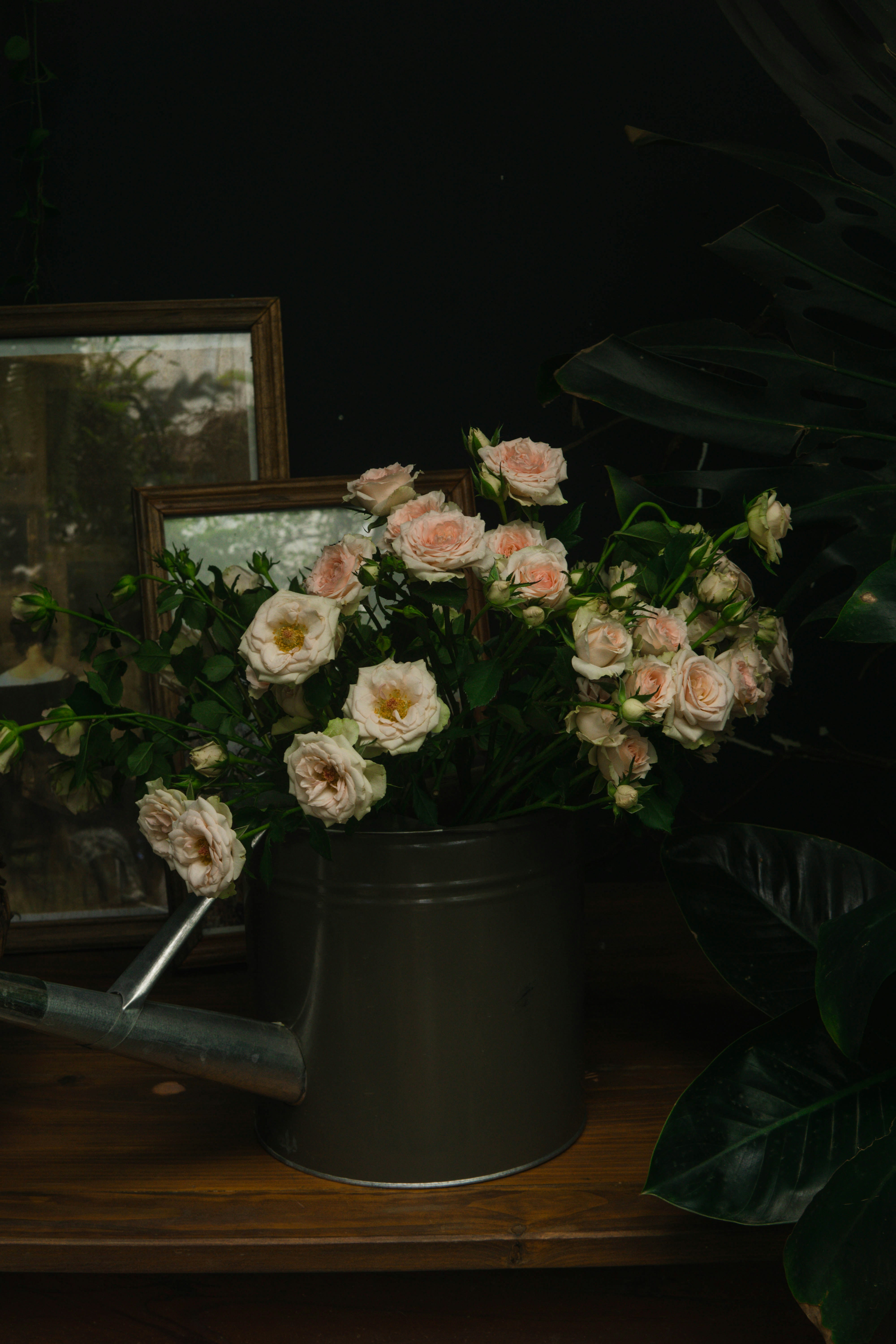 Photo by Trần Công Thiên Hữu with Sony Alpha 6000