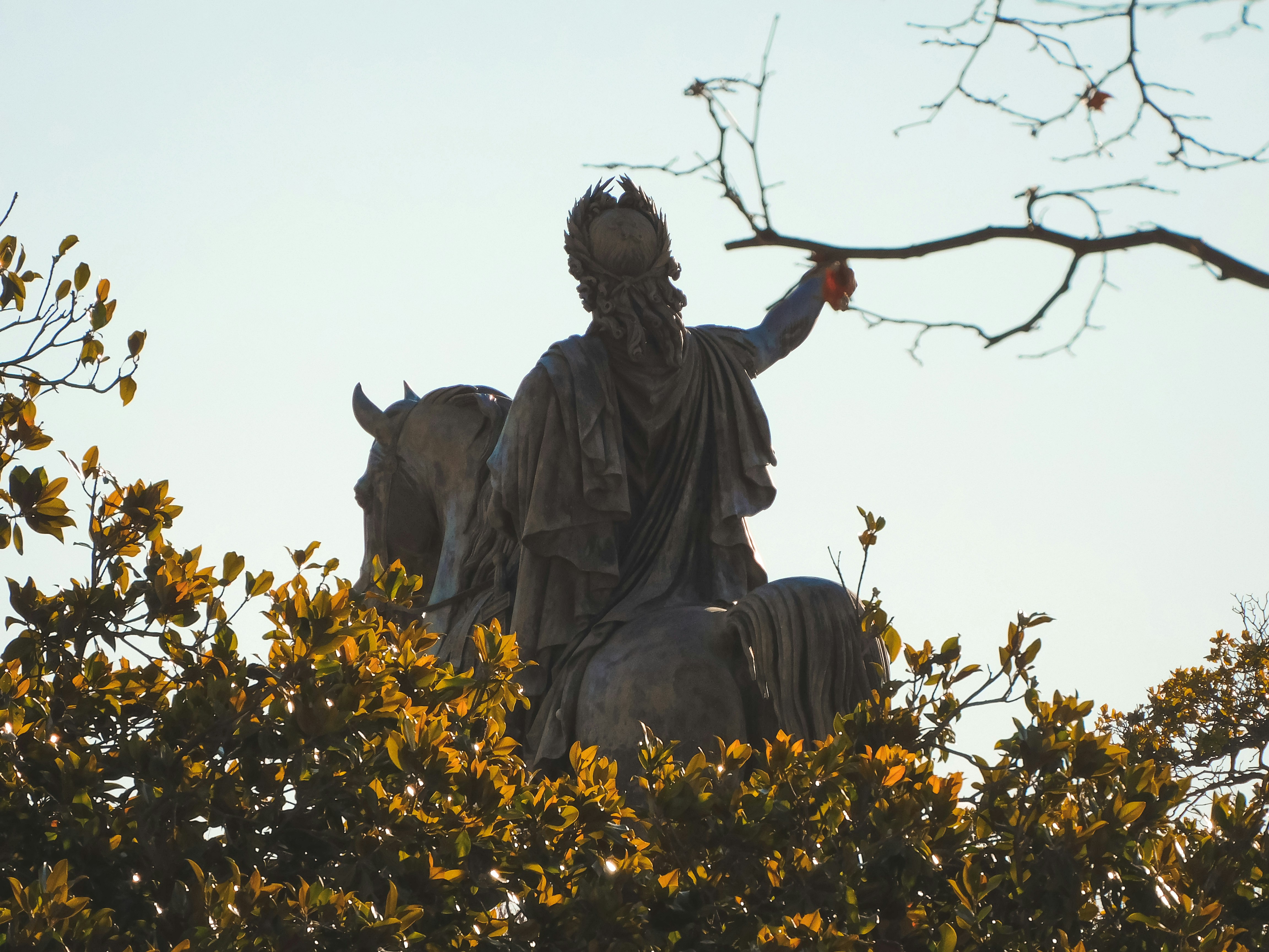 Equestrian statue of Louis XIV partially obscured by tree branches in warm sunlight.