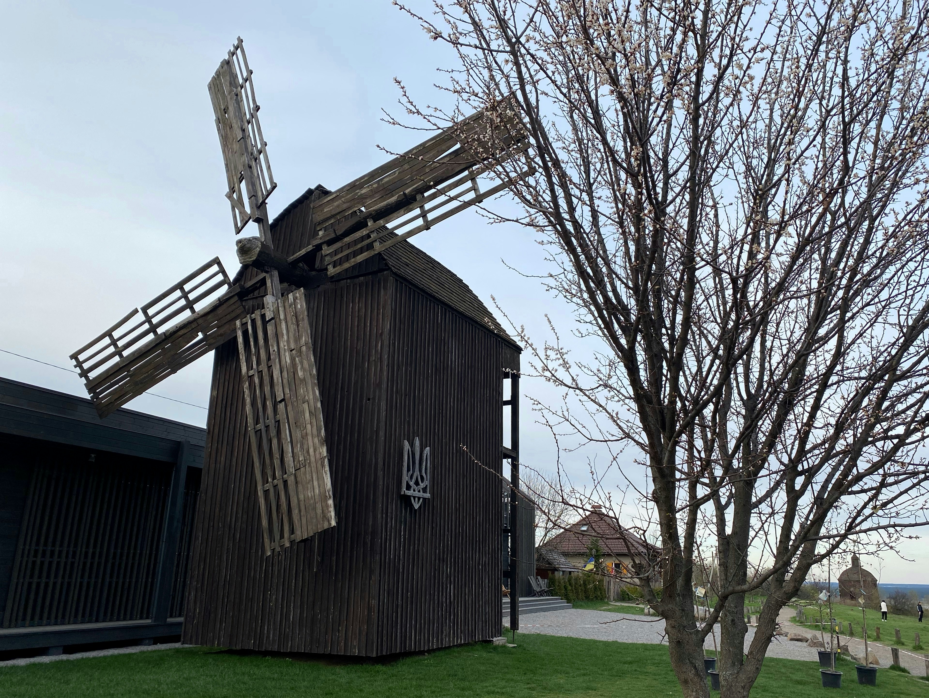 Weather-Worn Windmill Framed by Winter-Bare Trees