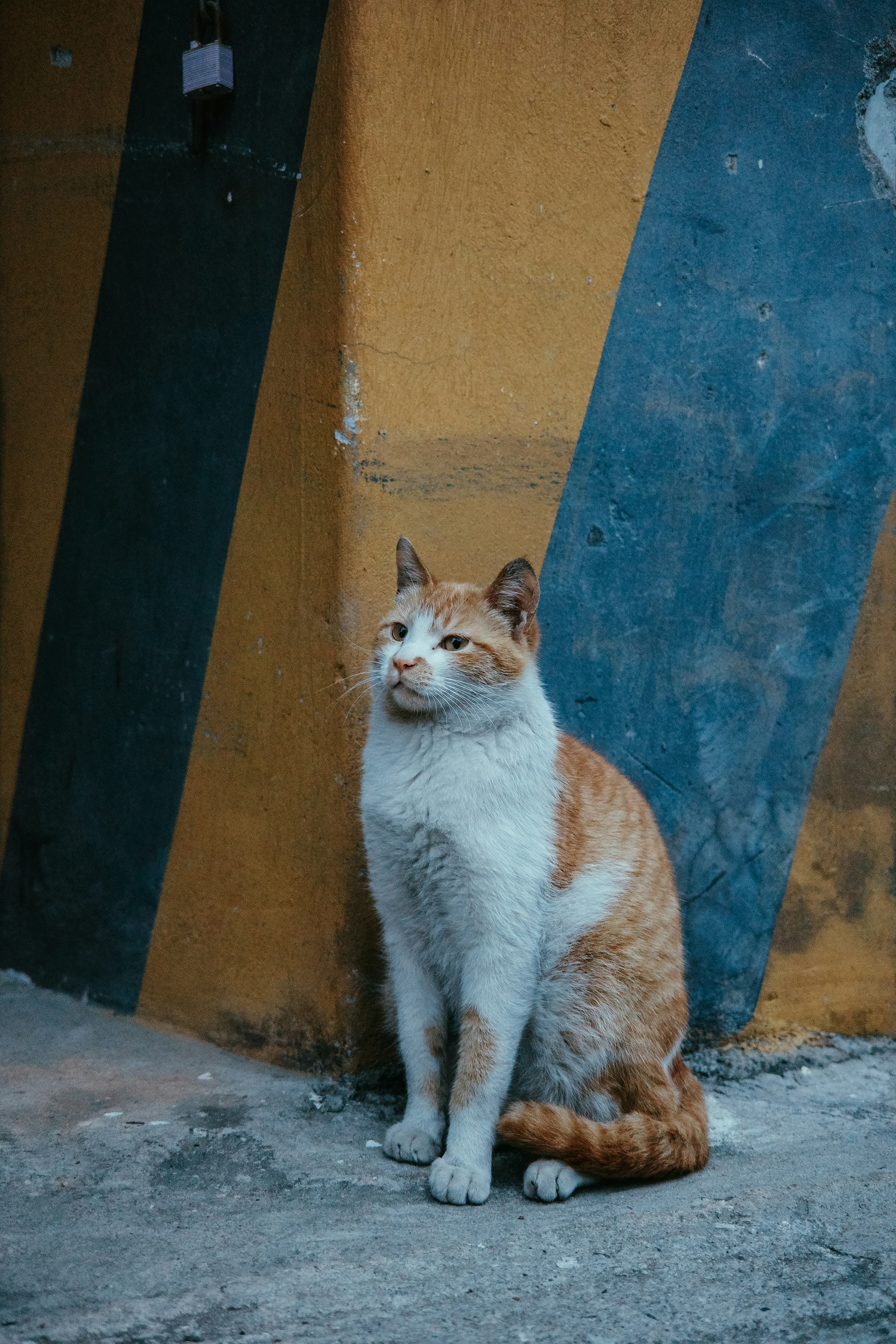 Photo by Dynamic Wang with Ricoh GR IIIx