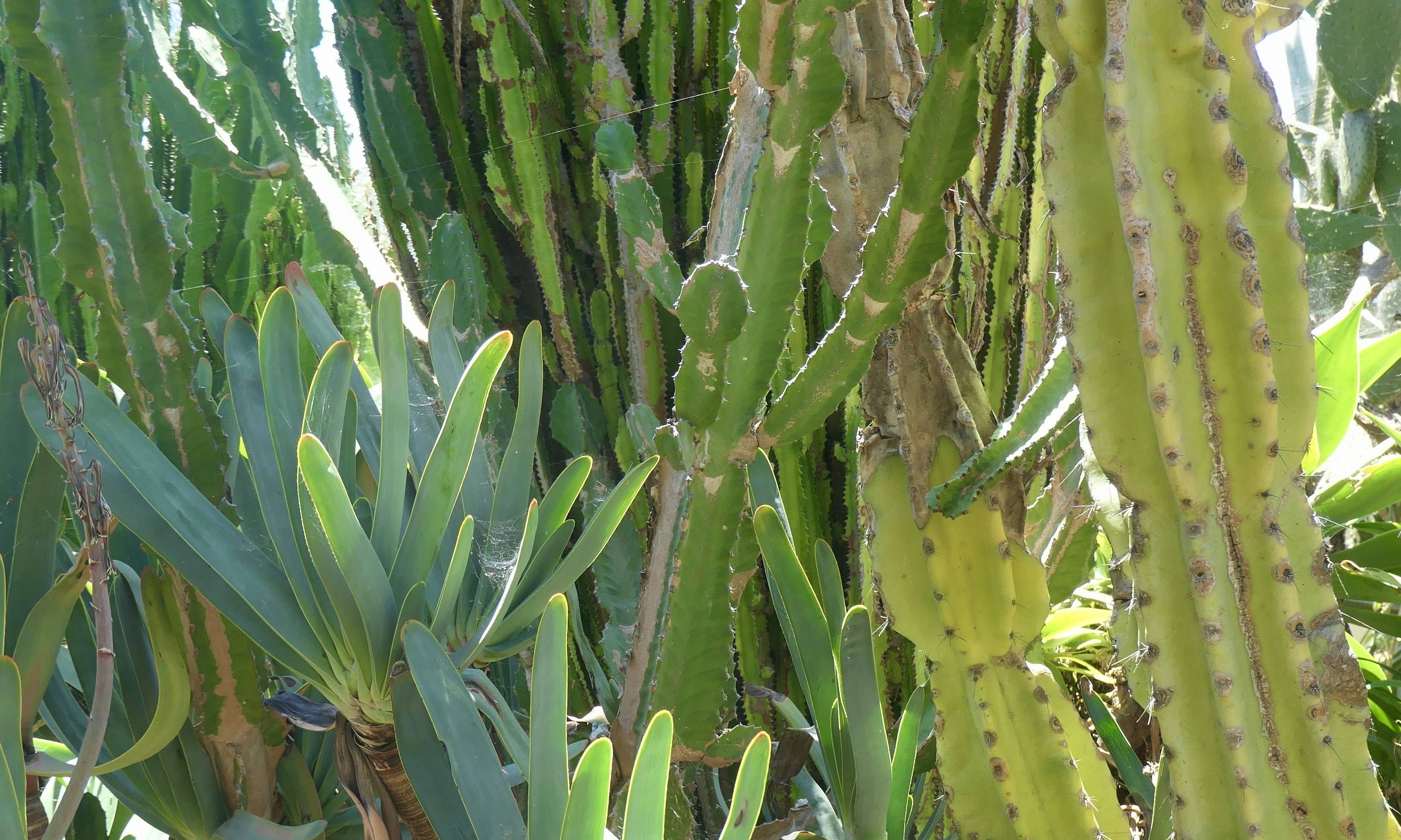 Sample photo from Panasonic Lumix TZ202