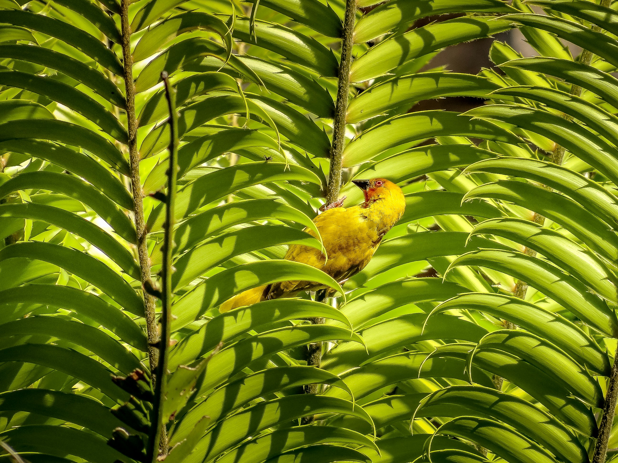 Photo by Lidia Stawinska with Sony Cyber-shot HX200V