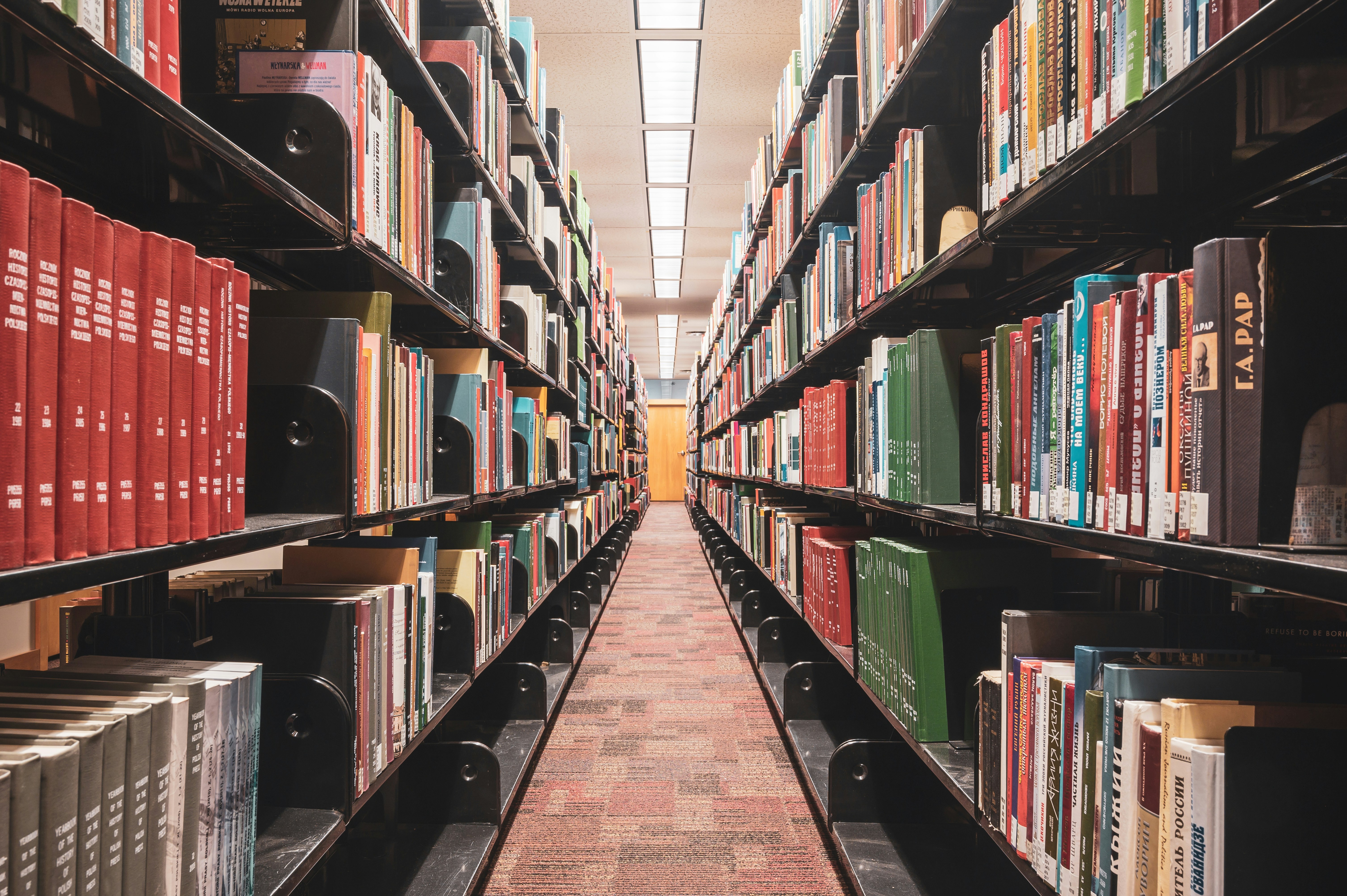 A long row of books in a library photo – Free Library Image on Unsplash