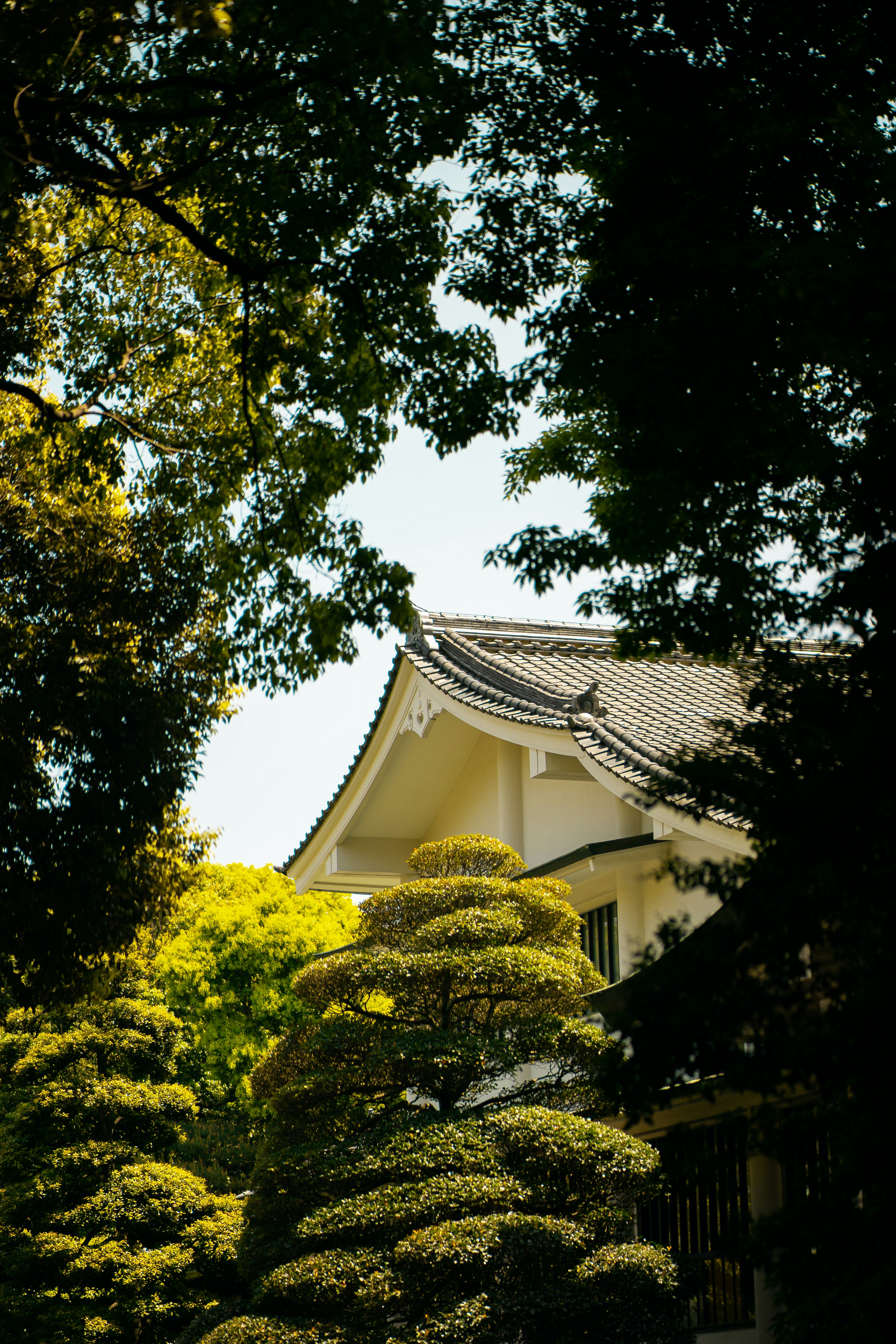 Roofline Revealed: A Tranquil Japanese Garden Moment
