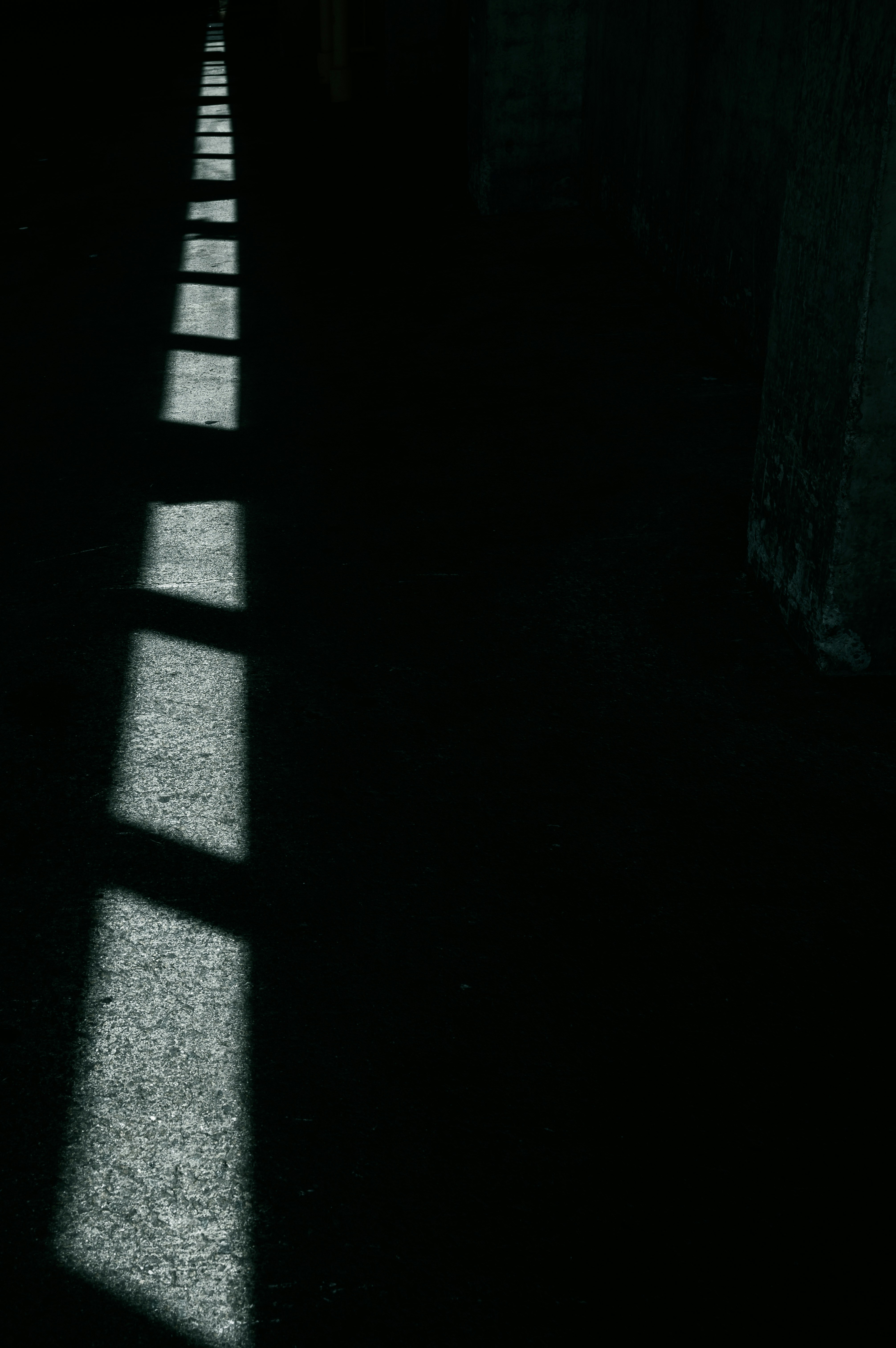 A dark hallway with long shadows on the floor photo – Free 日本 Image on ...