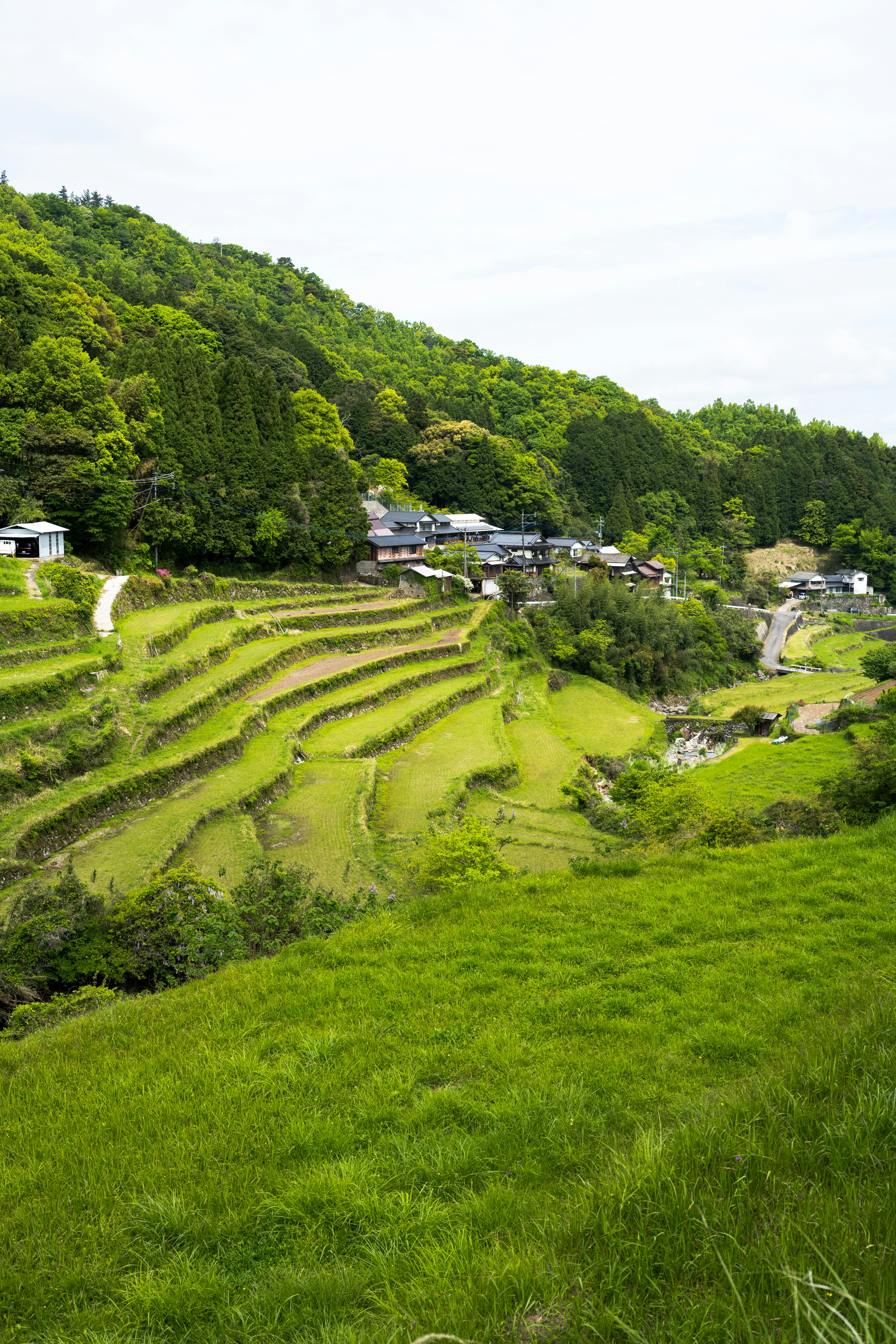 Photo by Kouji Tsuru with Nikon Z7 II