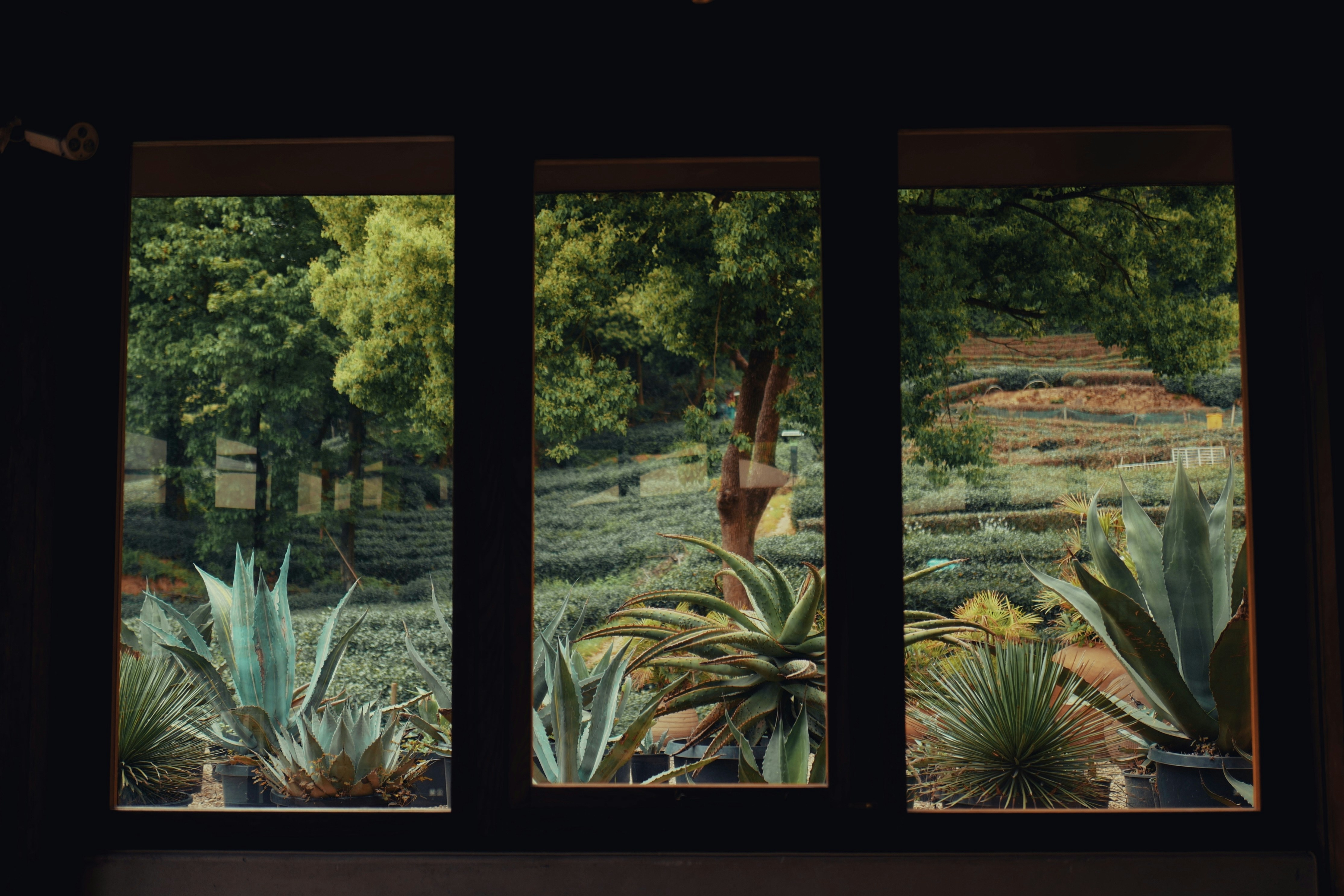 Photo by Samuel Fu with Leica Q