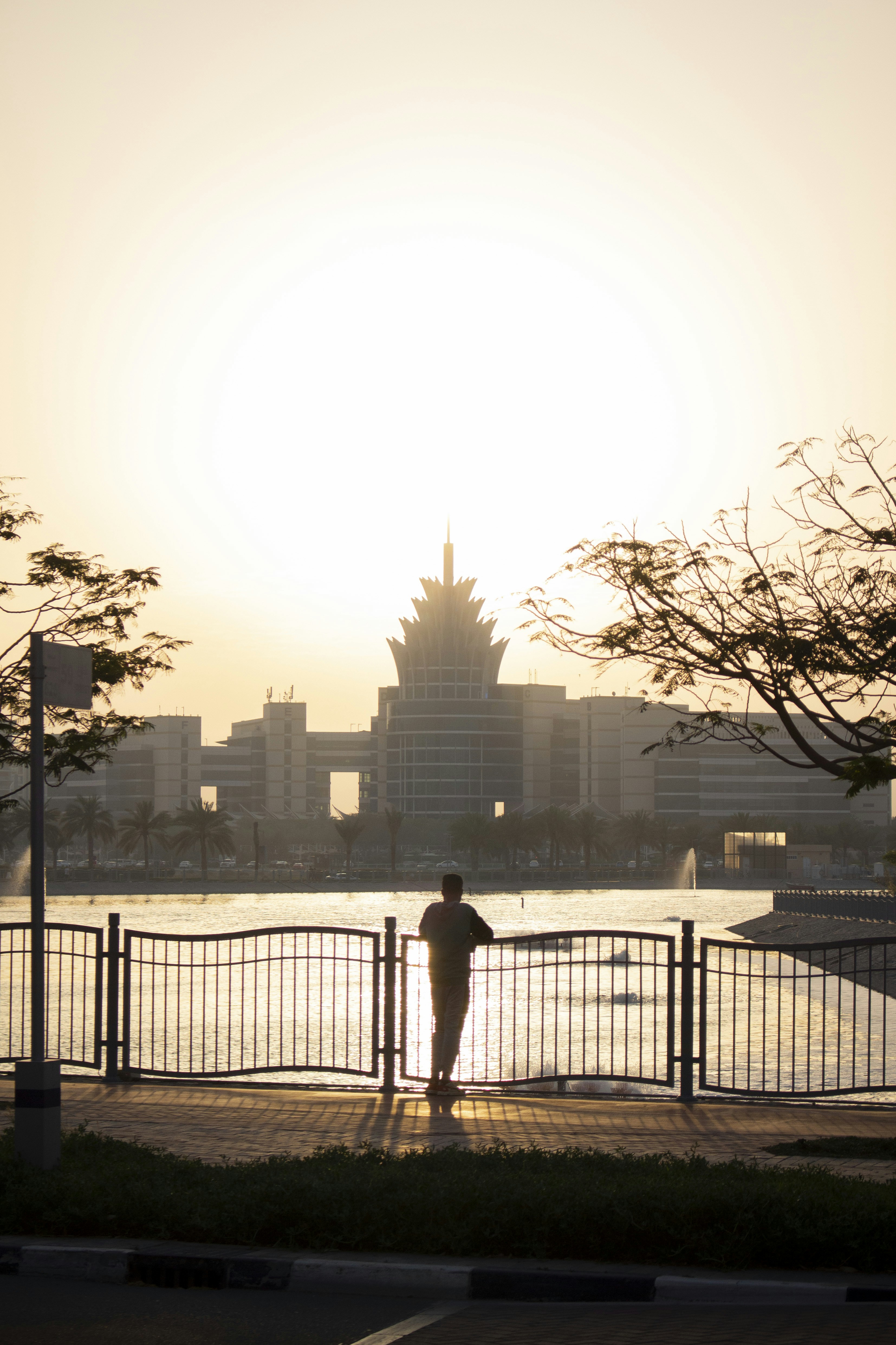 Golden Hour Sentinel: Silhouette by the Waterfront Against a Spired Skyline