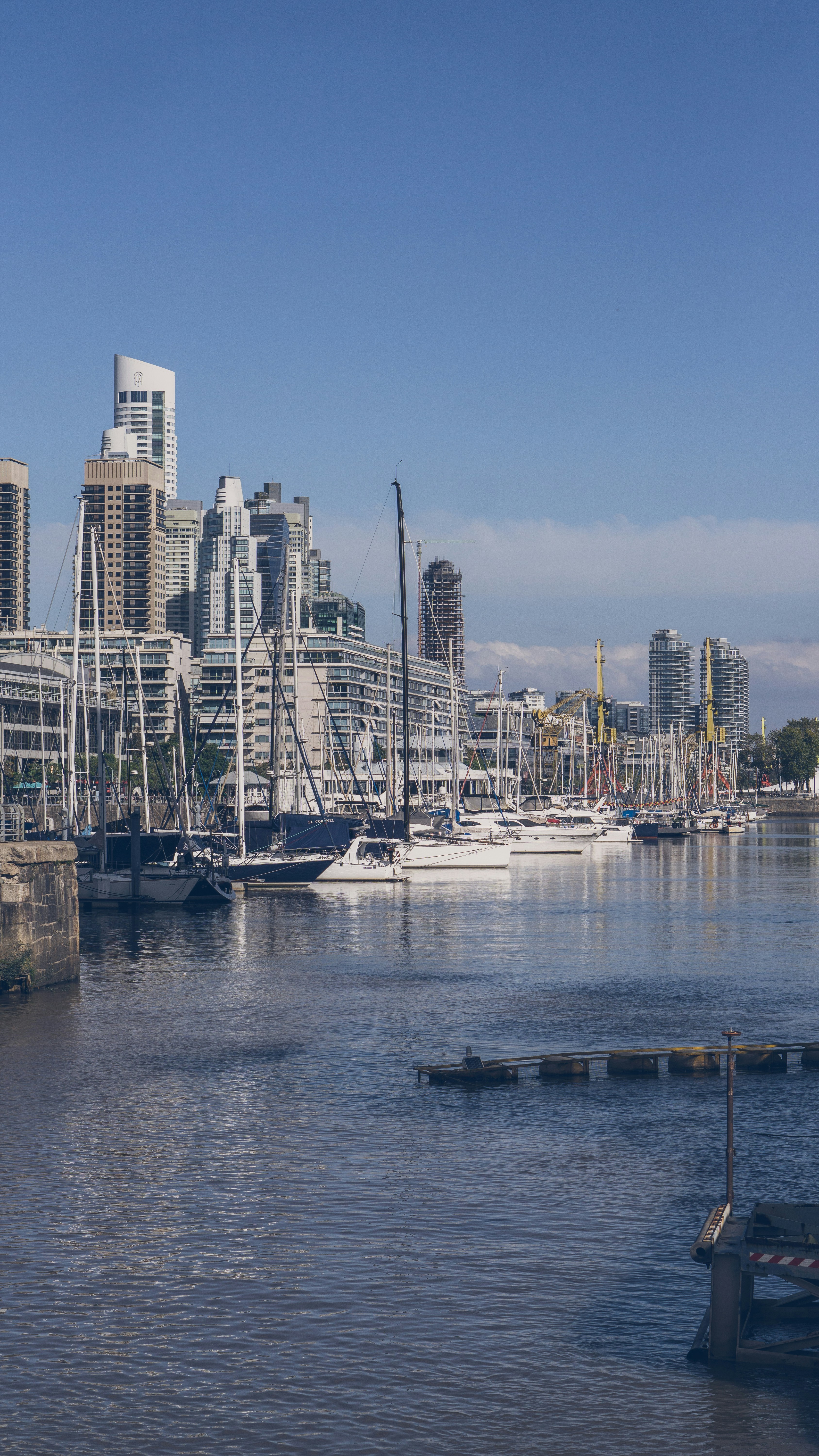 A harbor filled with lots of boats next to tall buildings photo – Free ...