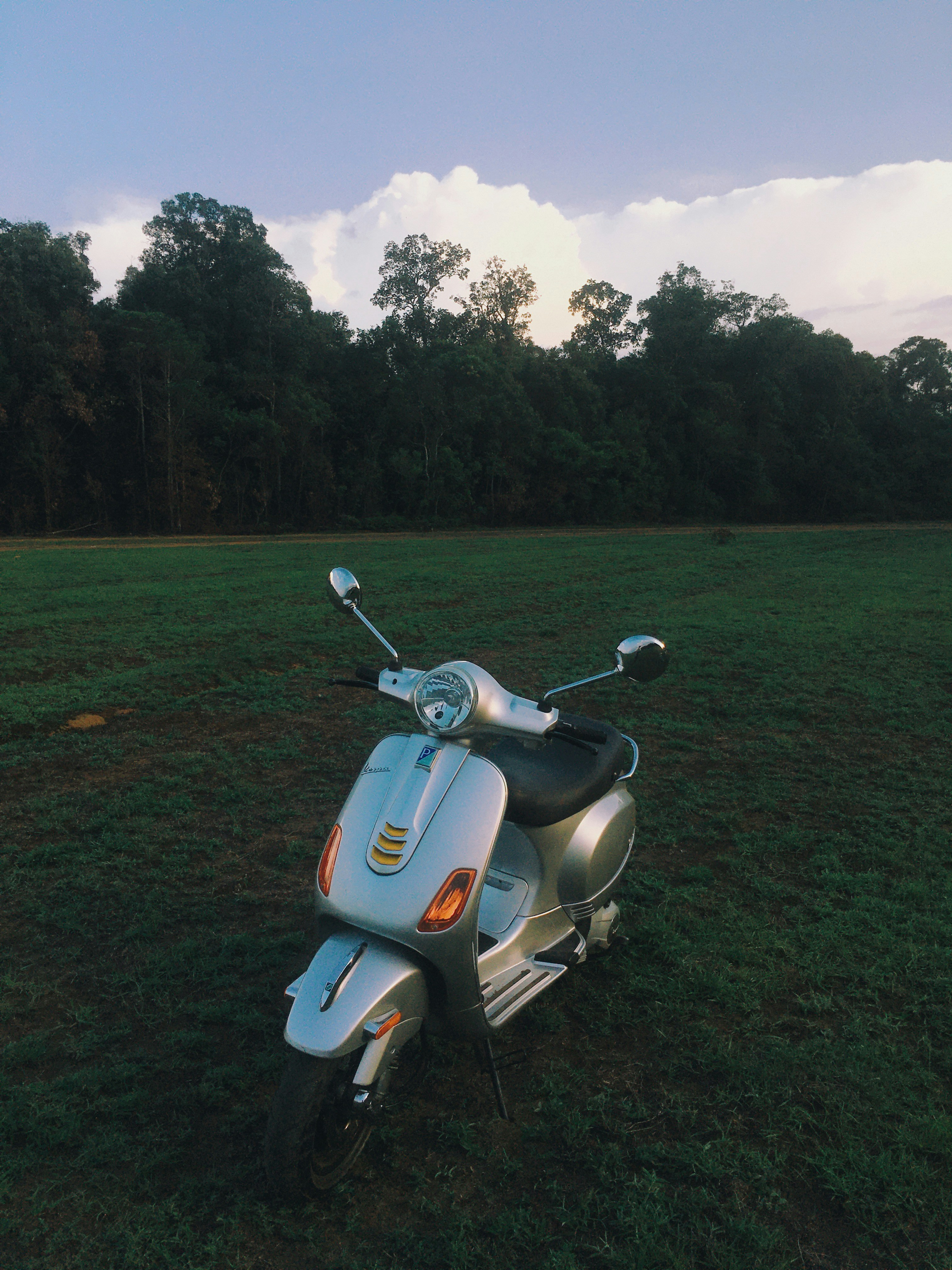 Solitary Scooter in Verdant Field