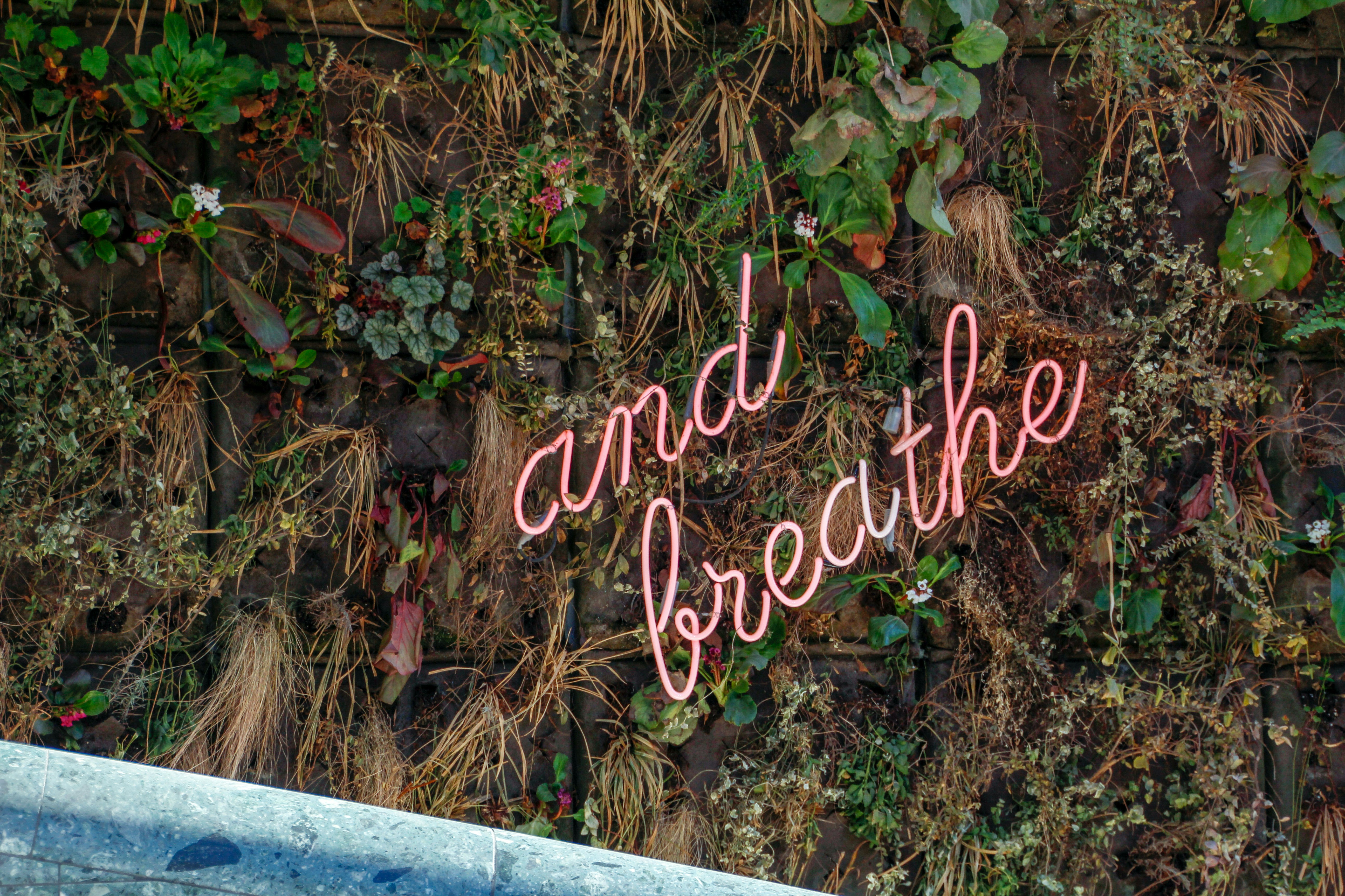 A pink neon sign that says and breathe photo – Free Amsterdam Image on ...
