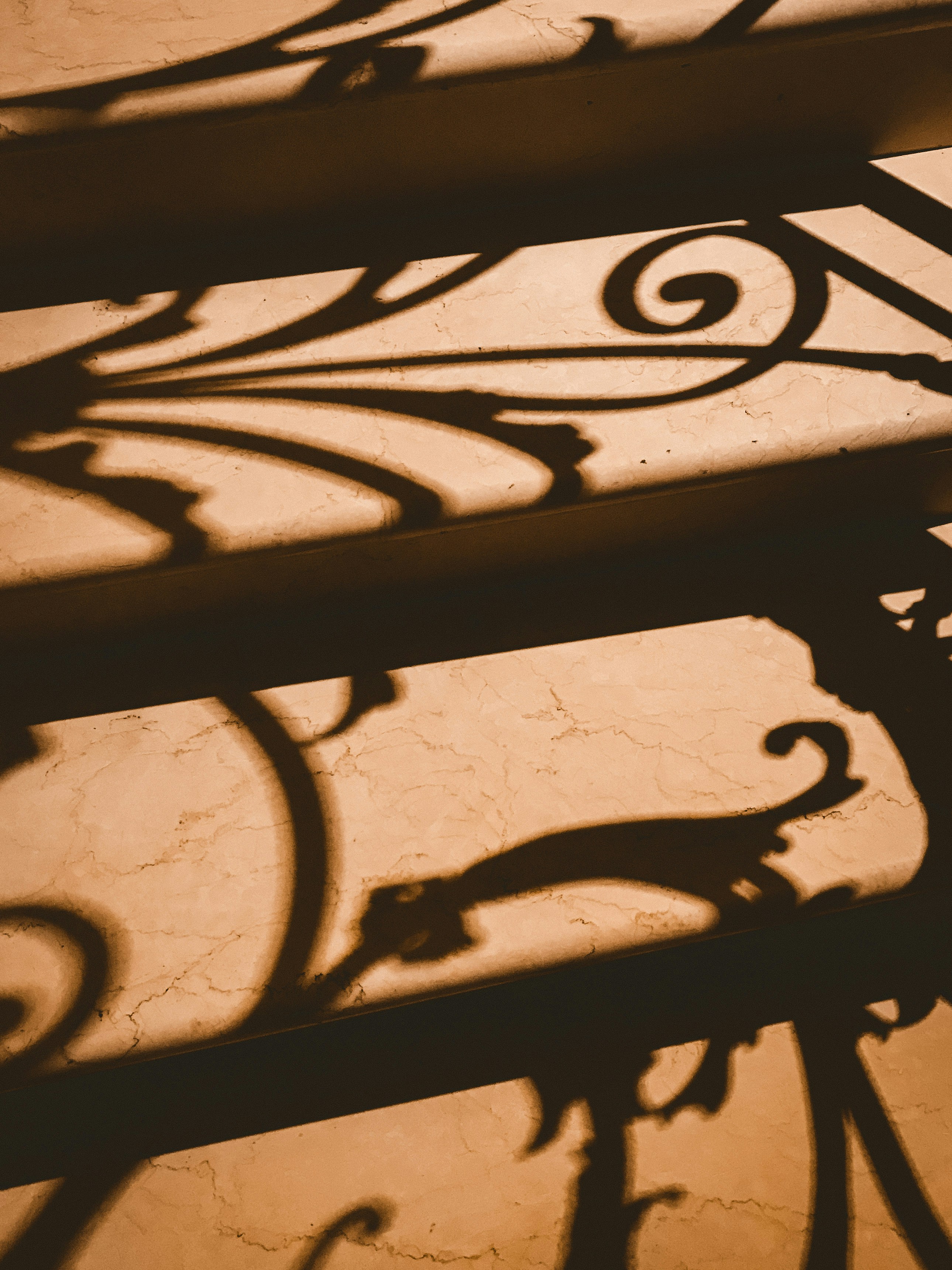 Ari Dutilh (@aridutilh) | Unsplashフォトコミュニティ