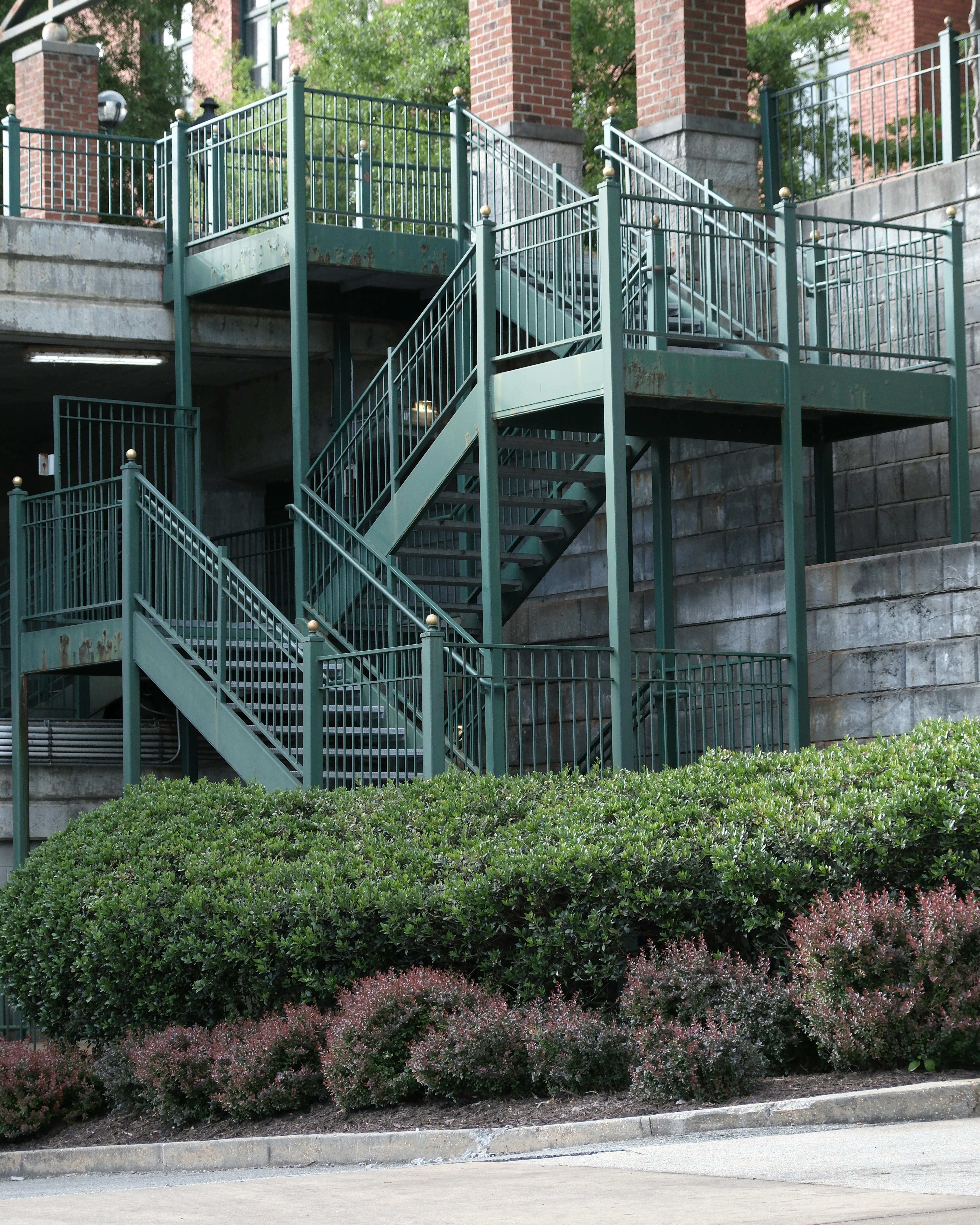 A green fire hydrant sitting next to a lush green bush photo – Free ...