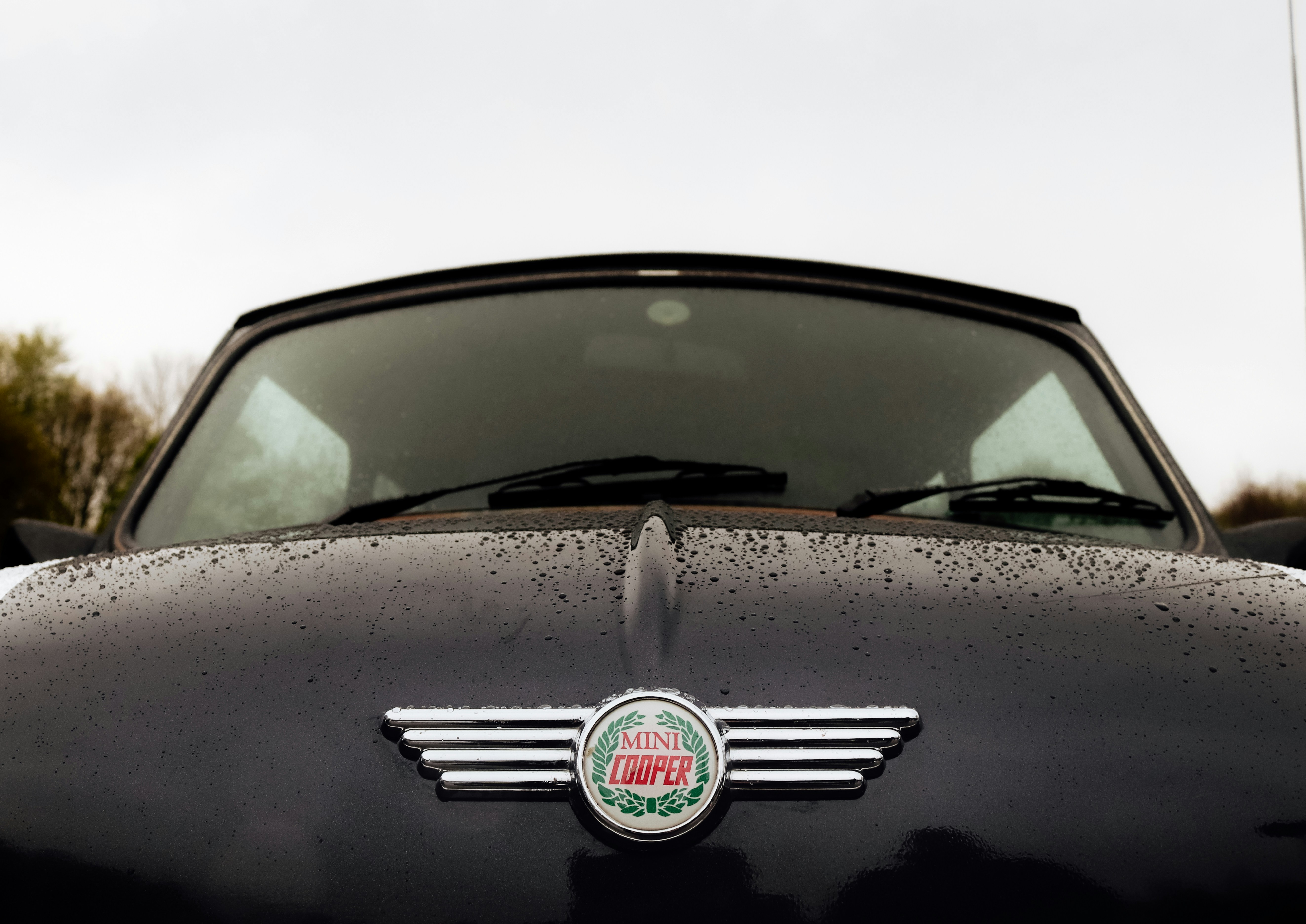 Foto Un primer plano del capó de un coche clásico – Imagen Hessle ...